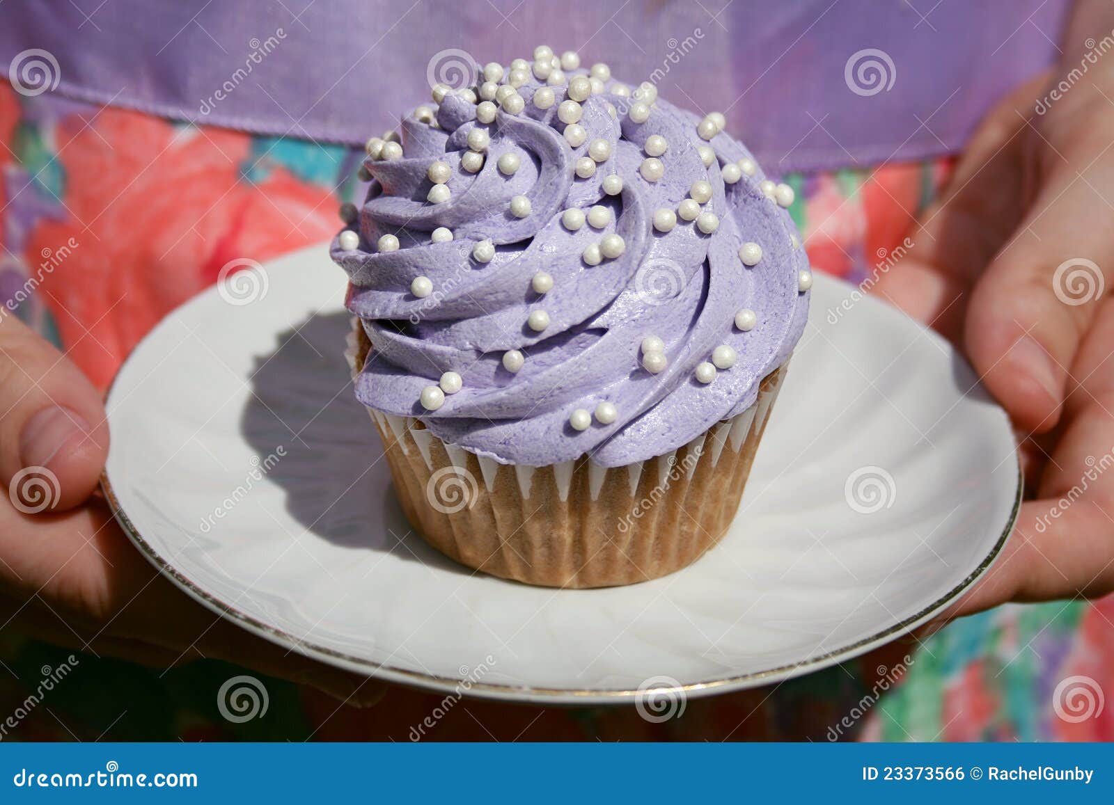 Cupcake on plate stock photo. Image of baked, home, focus - 23373566