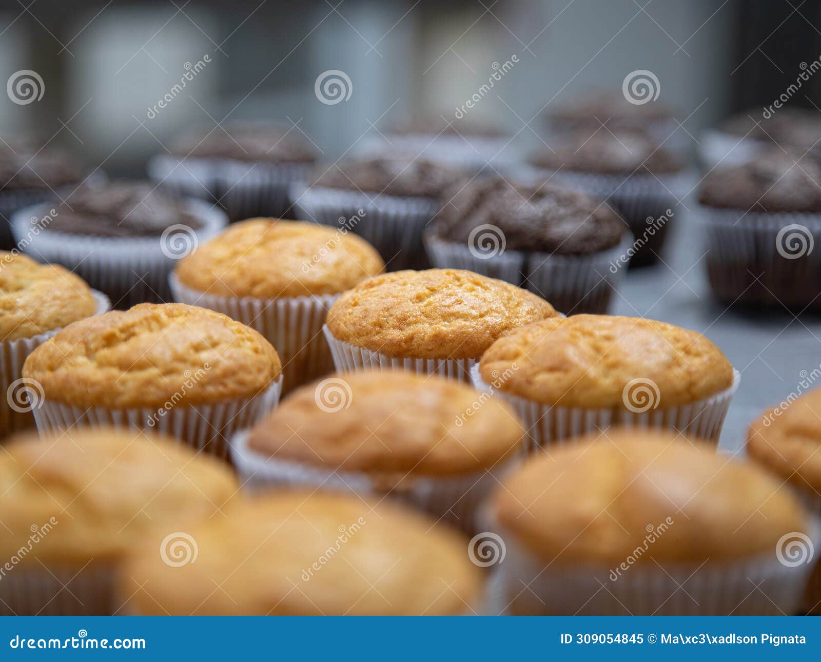 Cupcake Production Inside the Bakery Stock Image - Image of dessert ...