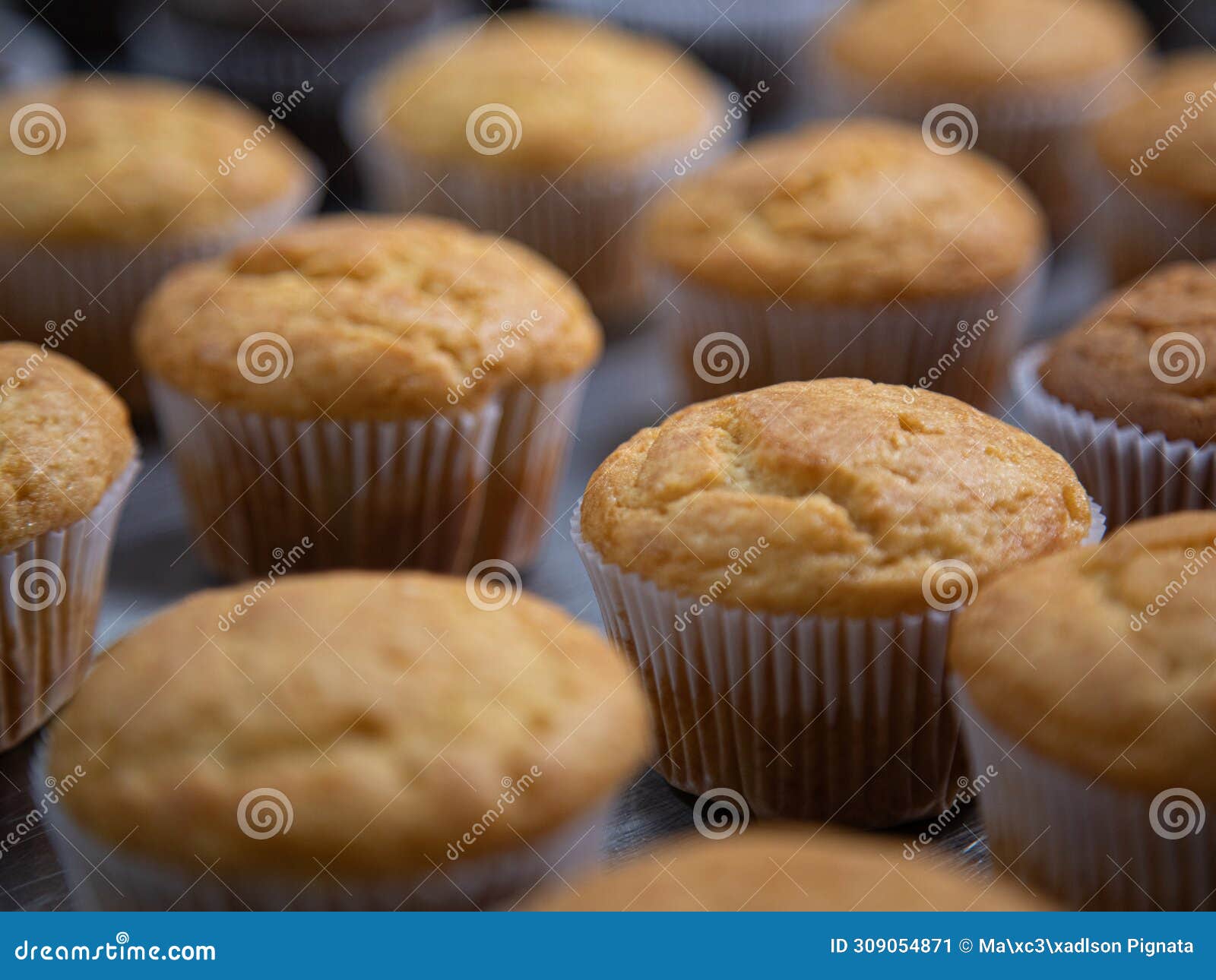 Cupcake Production Inside the Bakery Stock Image - Image of fresh ...