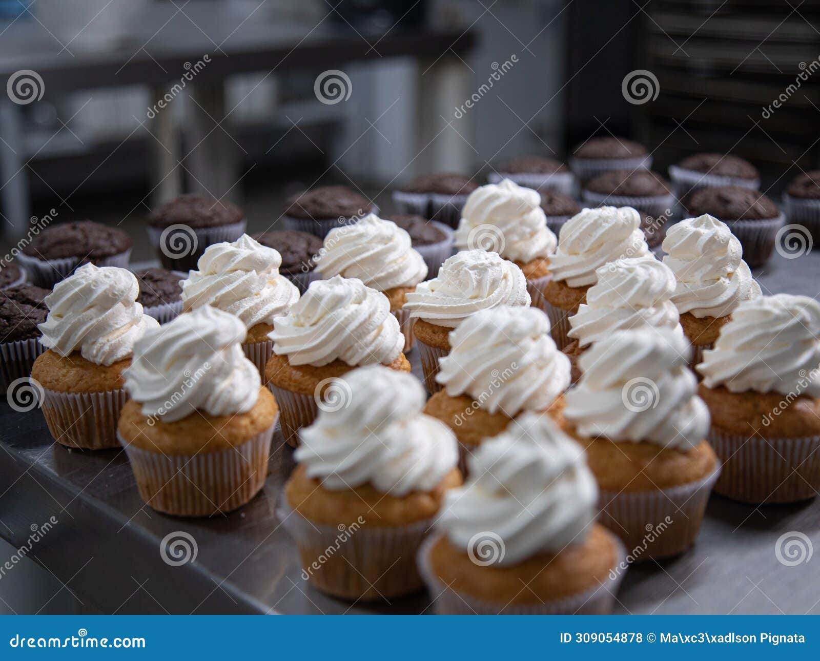 Cupcake Production Inside the Bakery Stock Photo - Image of fresh, cake ...