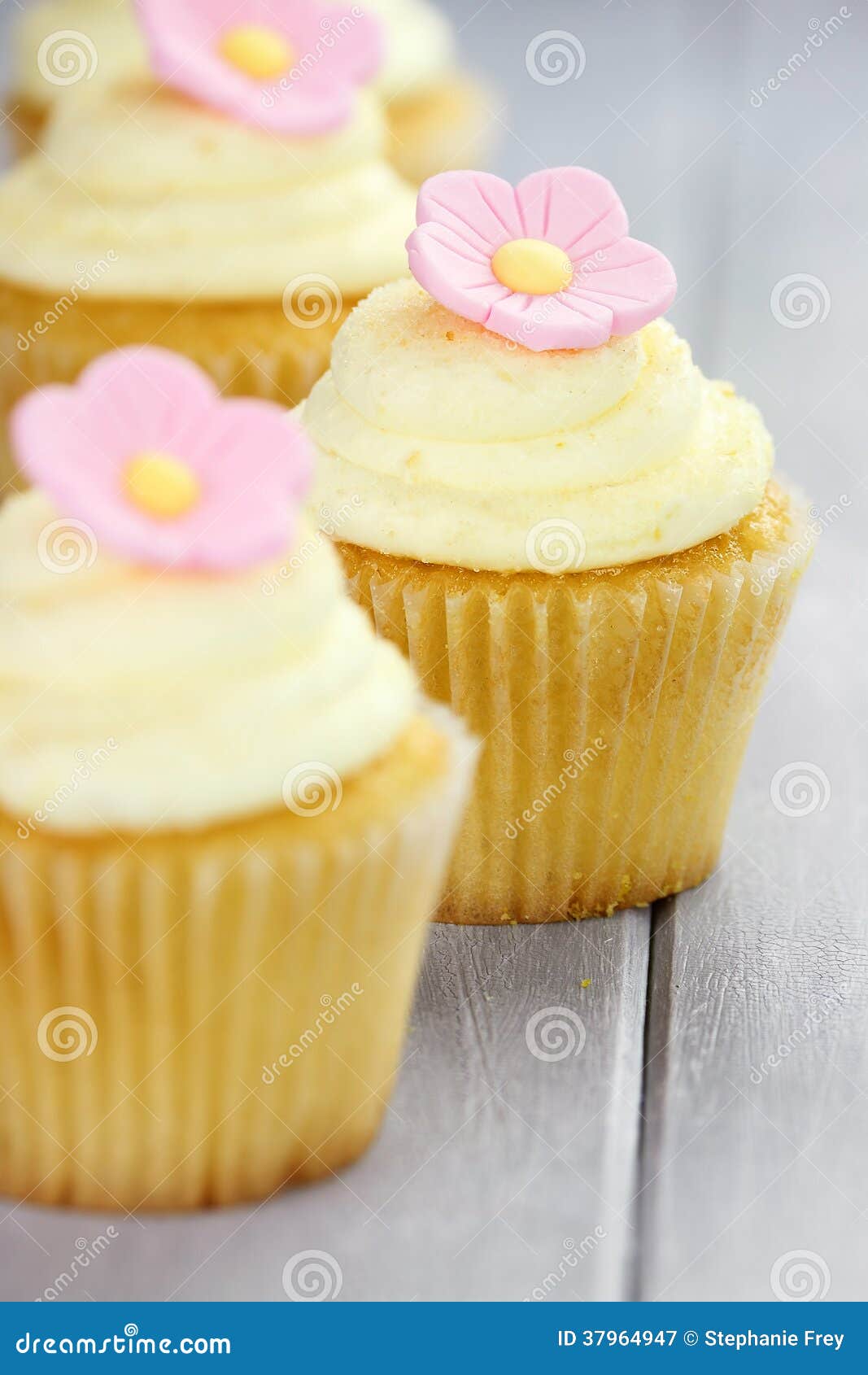Cupcakes in a Row stock image. Image of gourmet, birthday - 37964947