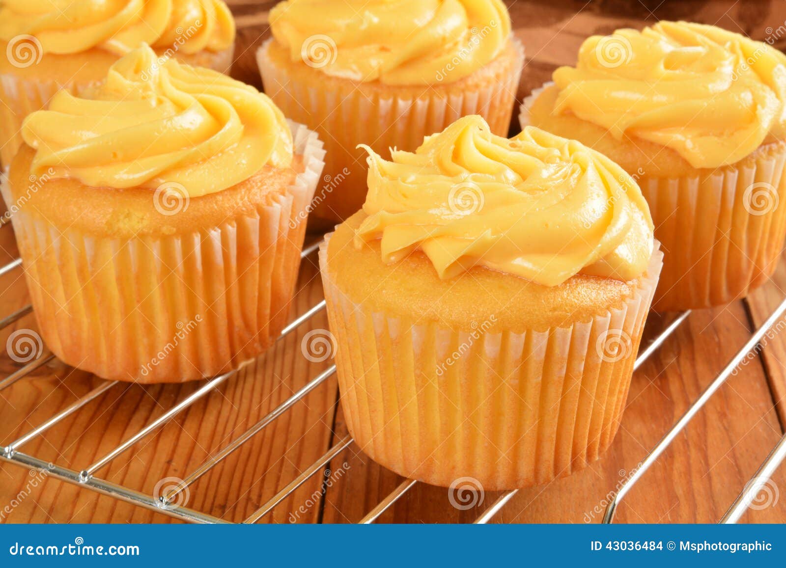 Cupcakes on a Wire Cooling Rack Stock Photo - Image of icing, snack ...