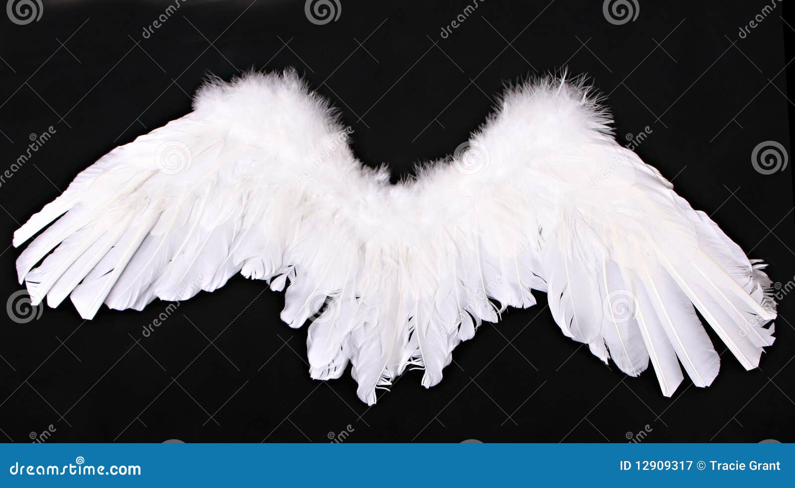 Cupid Angel Wings Photography Prop Royalty Free Stock Photography ...