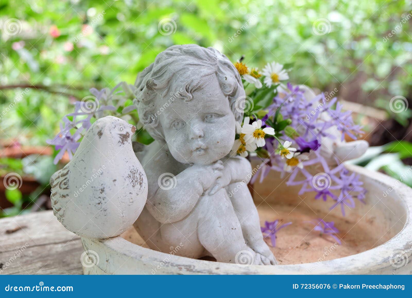 Cupid and flowers stock photo. Image of face, peaceful - 72356076