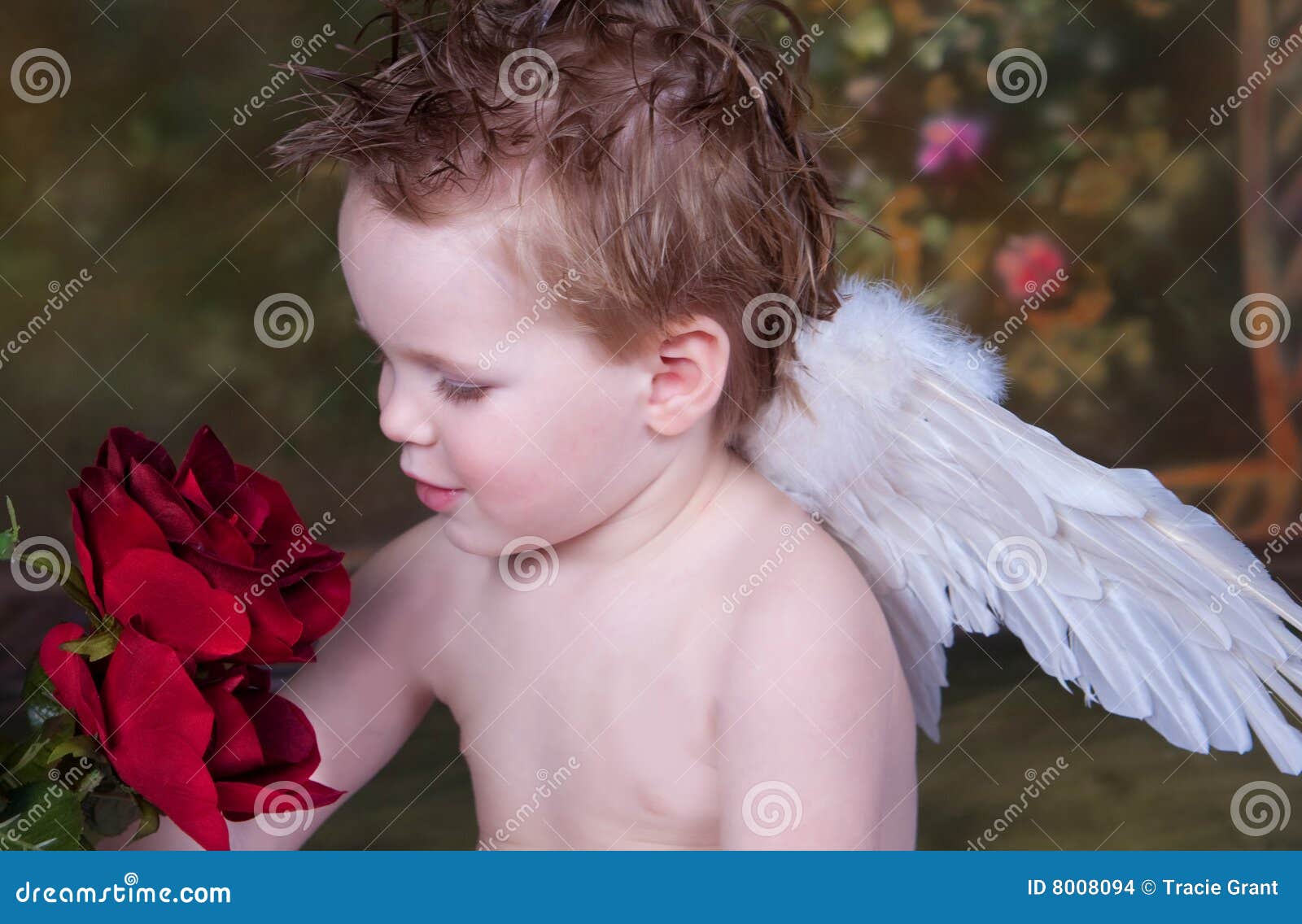 Cupid with Roses stock photo. Image of roses, valentine - 8008094