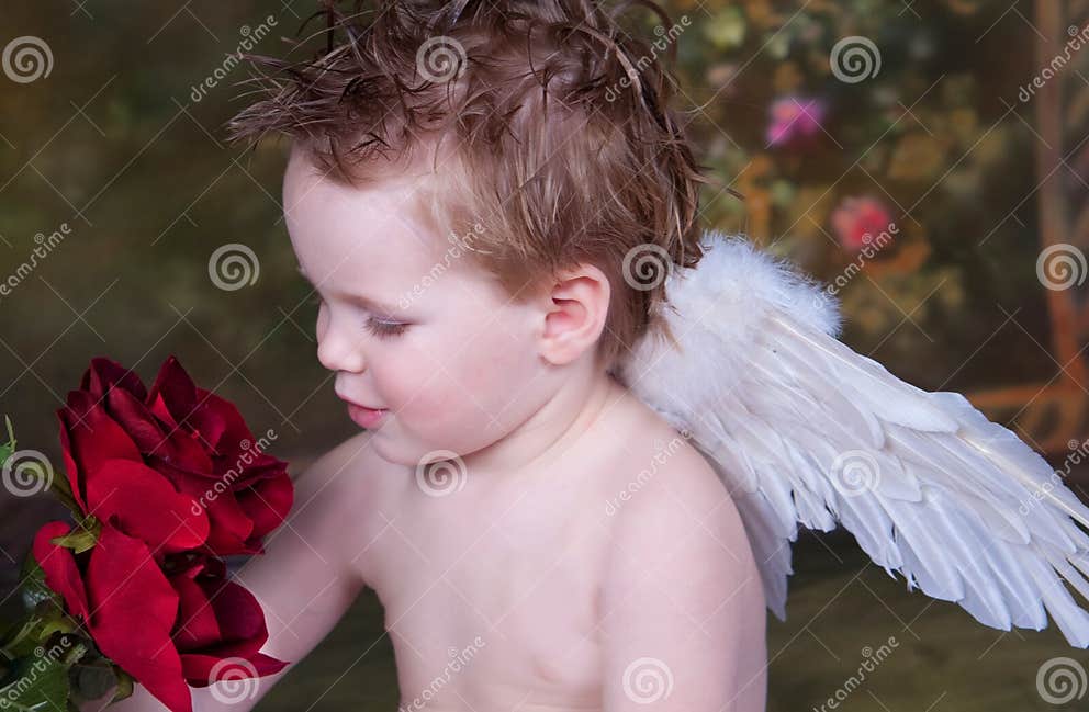 Cupid with Roses stock photo. Image of roses, valentine - 8008094