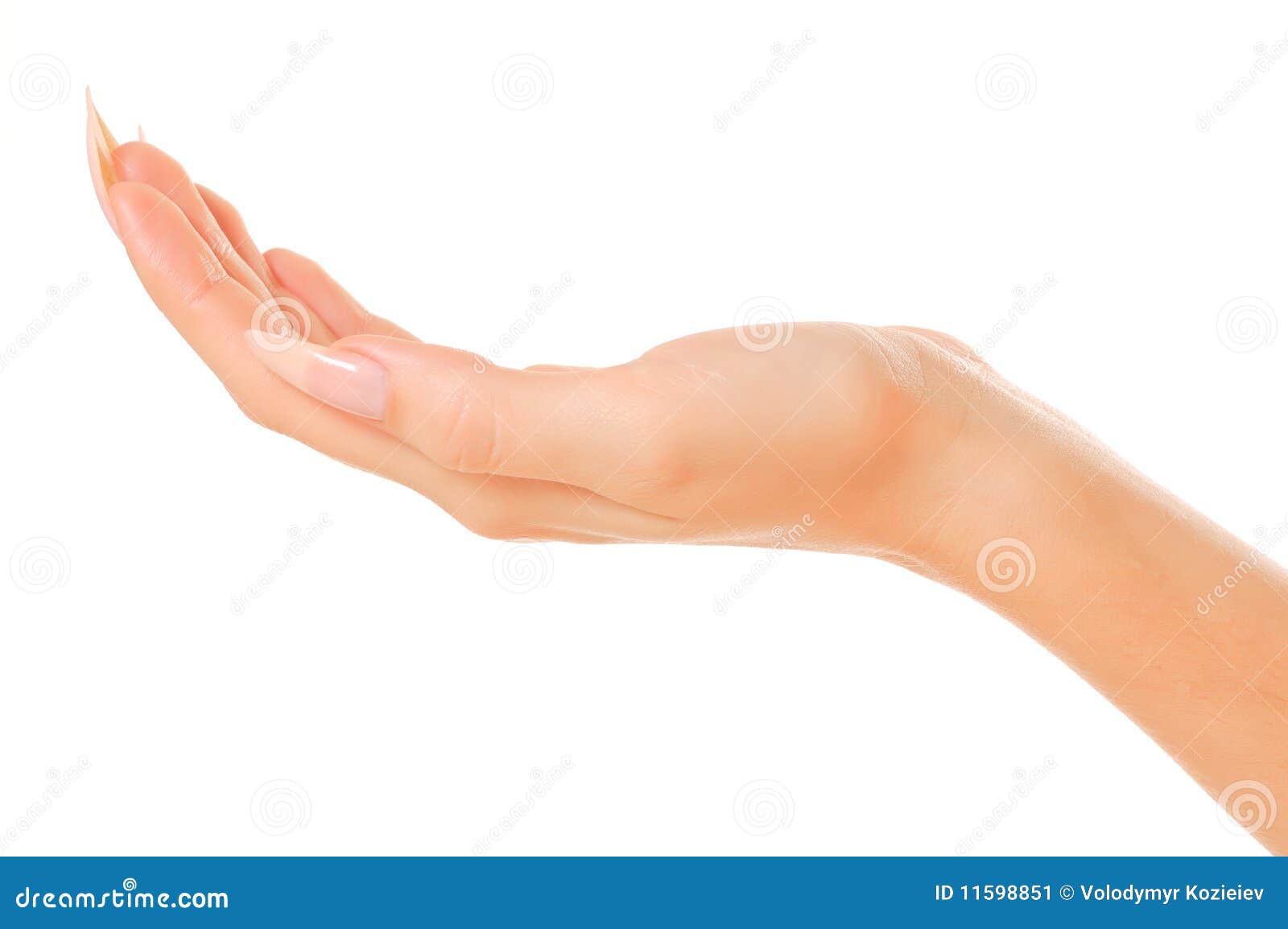 Cupped hand stock image. Image of fingers, gesticulation - 11598851