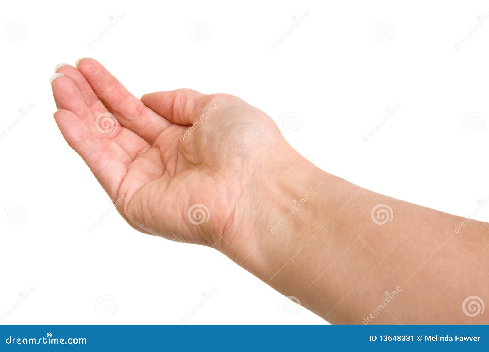 Cupped Hand stock image. Image of hand, ideas, cupped - 13648331