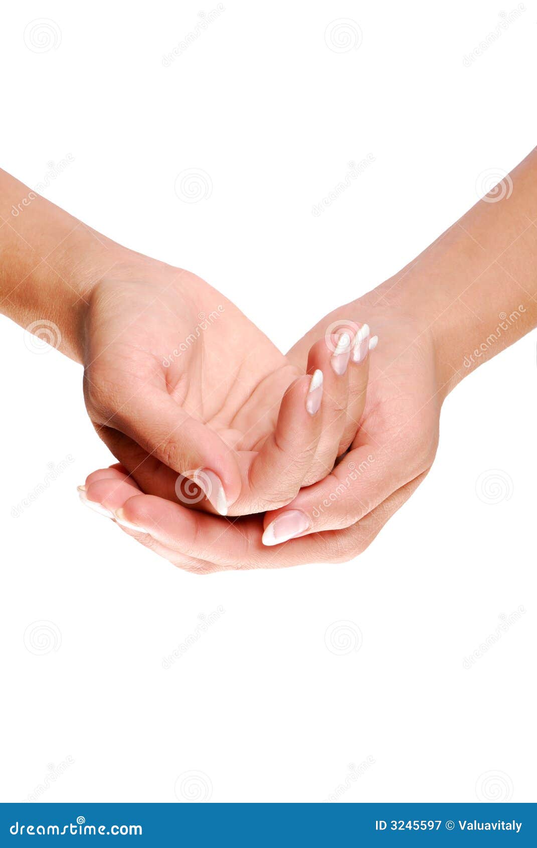 Cupped hand stock image. Image of gesturing, vertical - 3245597