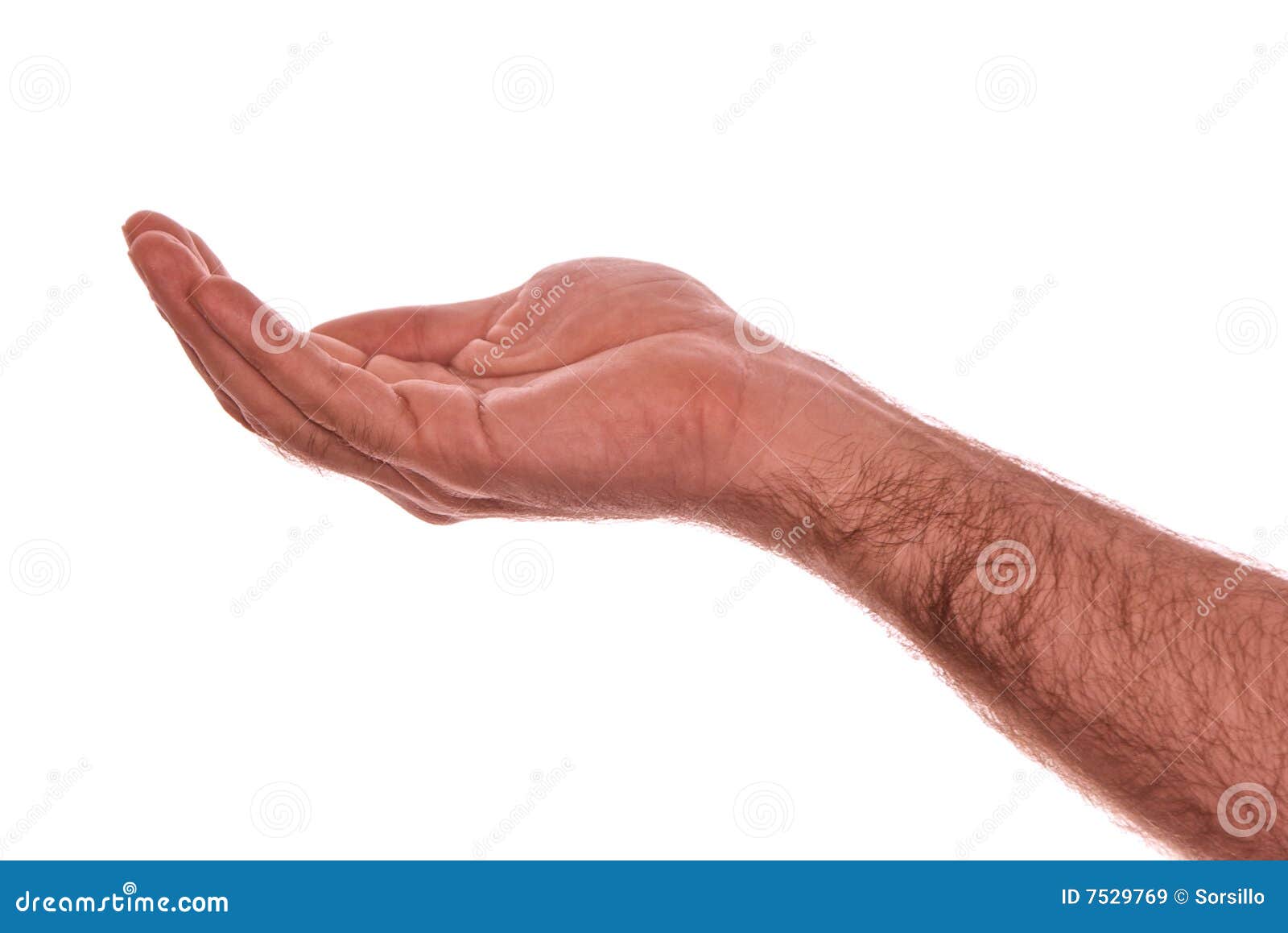 Cupped hand stock image. Image of isolated, thumb, hand - 7529769