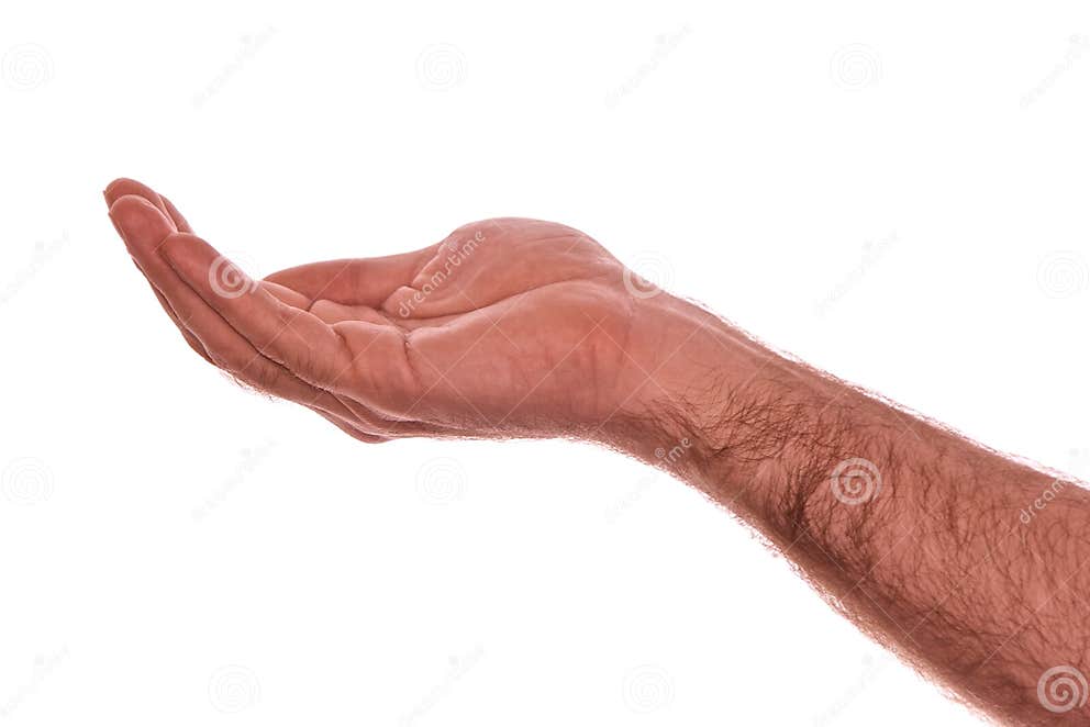Cupped hand stock image. Image of isolated, thumb, hand - 7529769