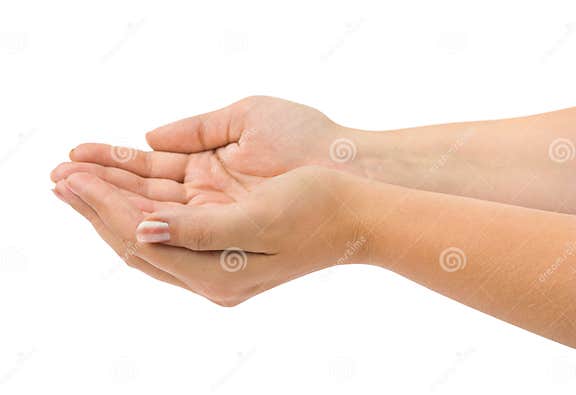 Cupped hands stock photo. Image of hand, love, empty - 20736392