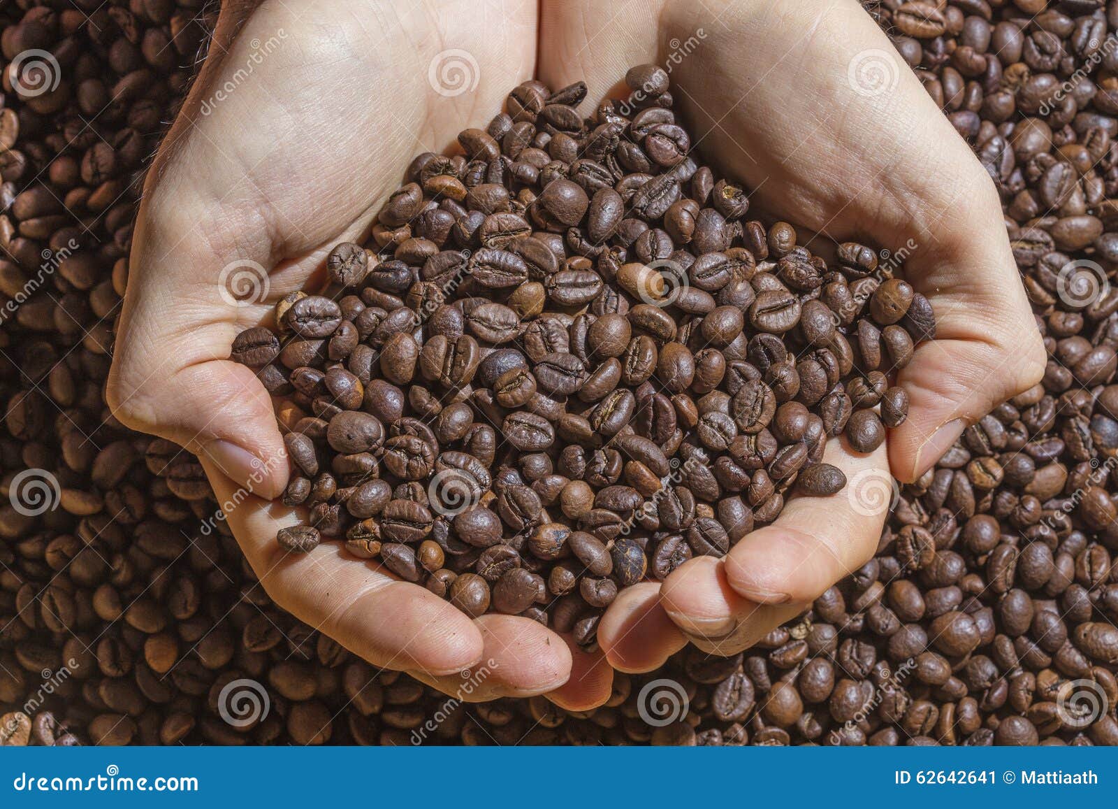 Cupped Hands Holding Handful of Roasted Coffee Beans Stock Image ...