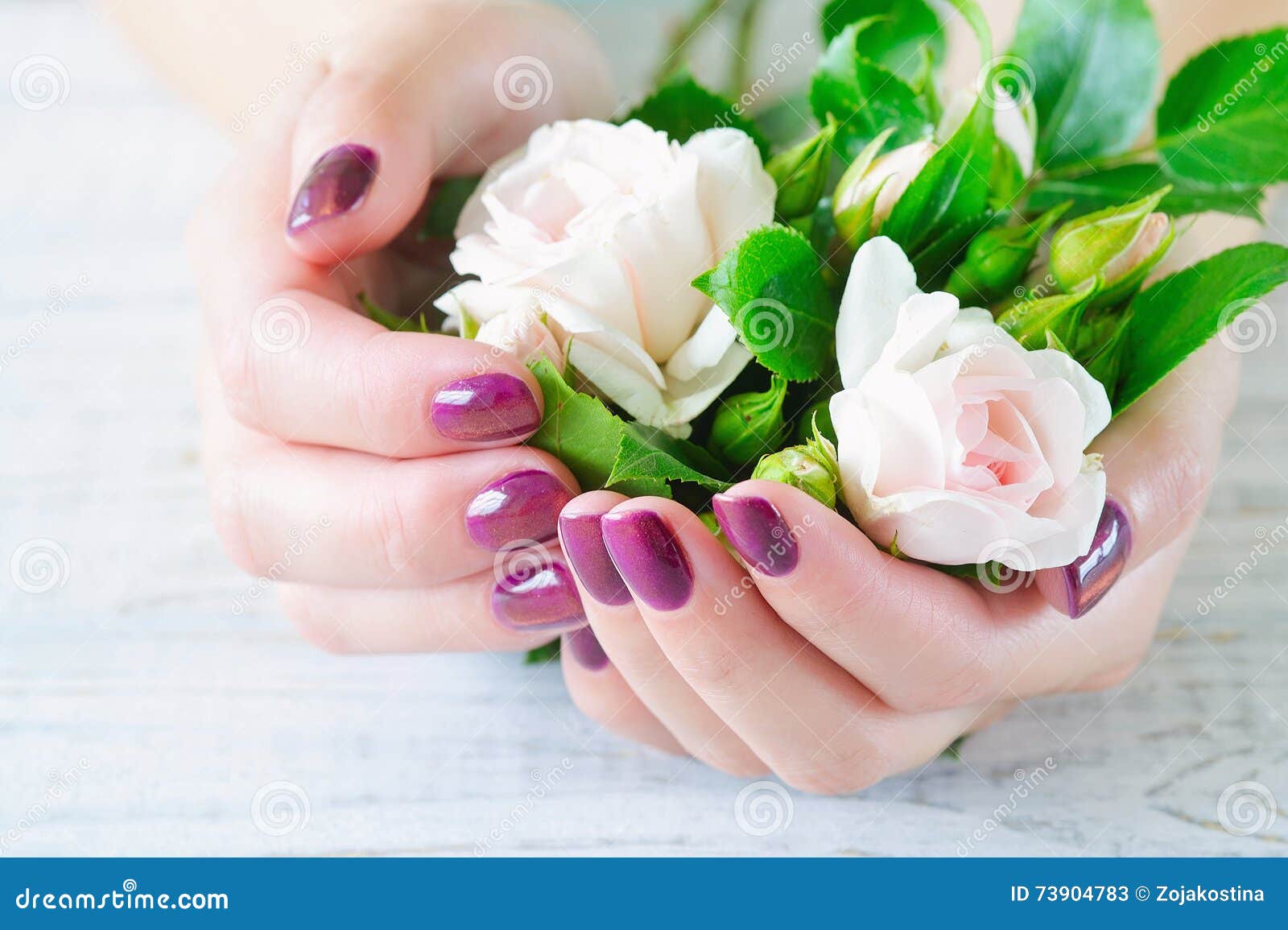 Cupped Hands with Manicured Fingernails Stock Image - Image of ...