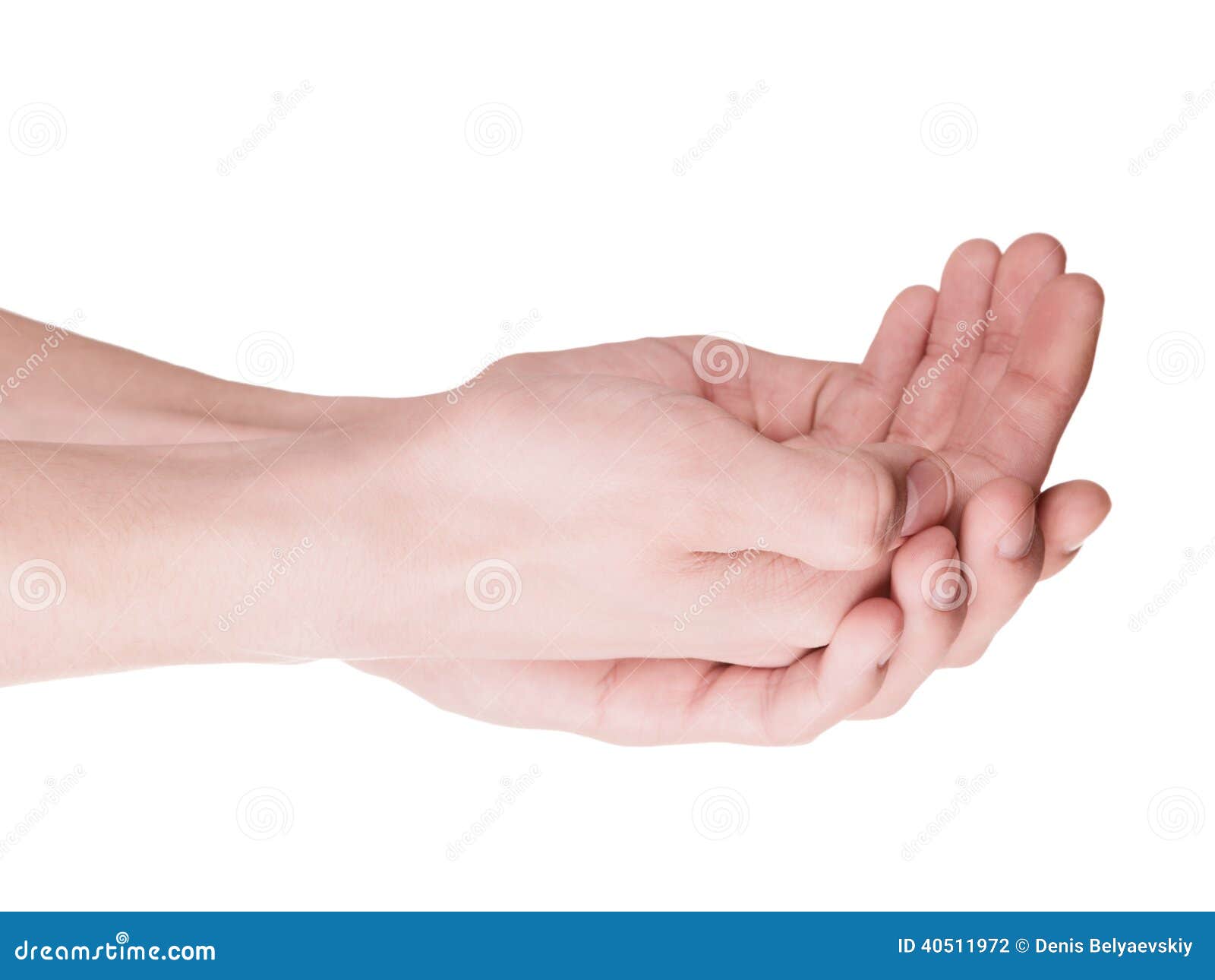 Cupped Hands stock photo. Image of person, body, human - 40511972