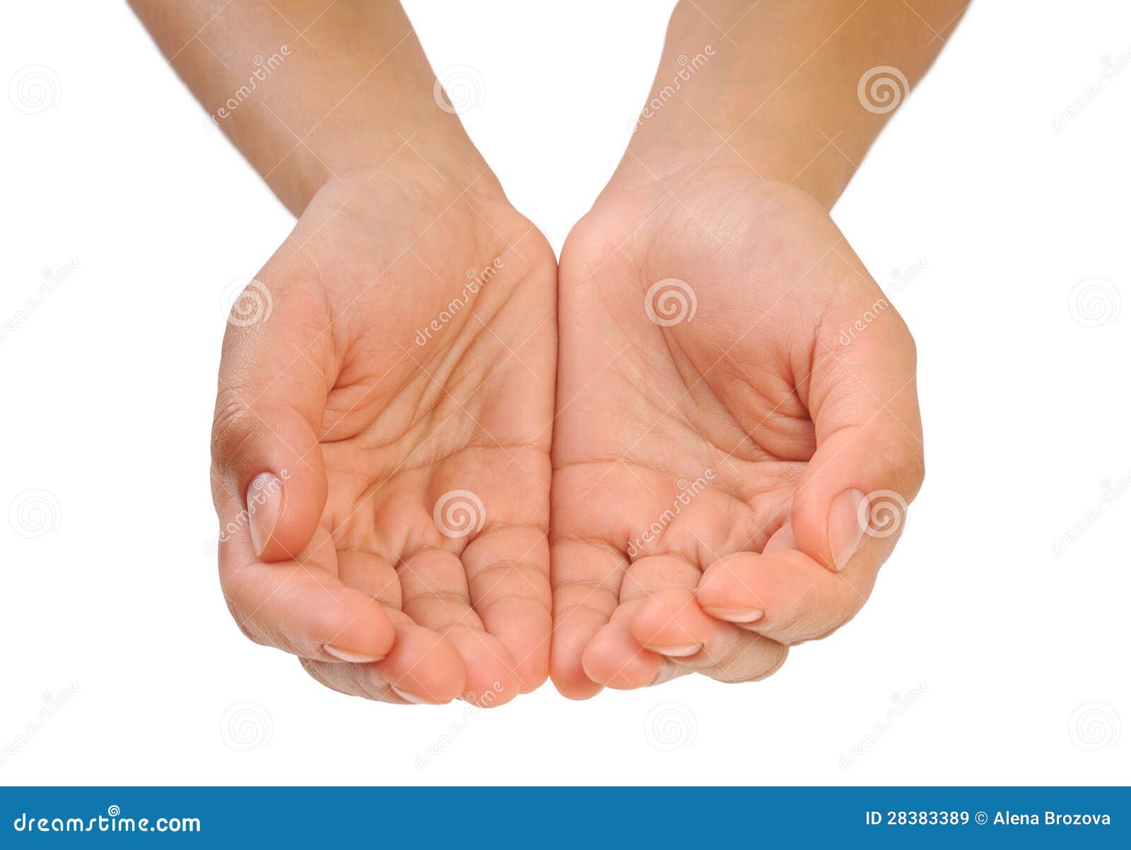 Cupped Hands Stock Photography | CartoonDealer.com #32862800