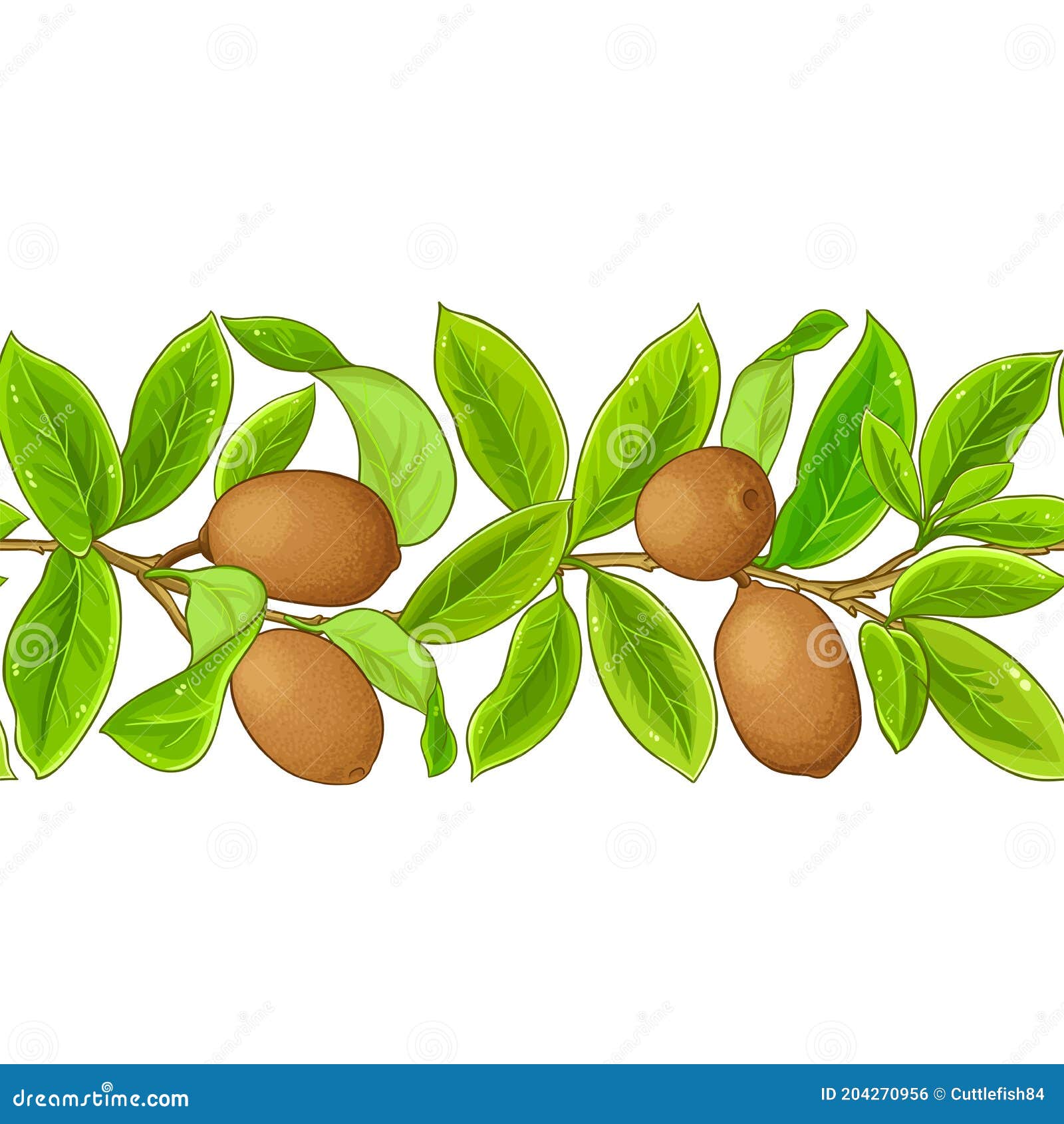 Cupuacu Vector Frame | CartoonDealer.com #202266294