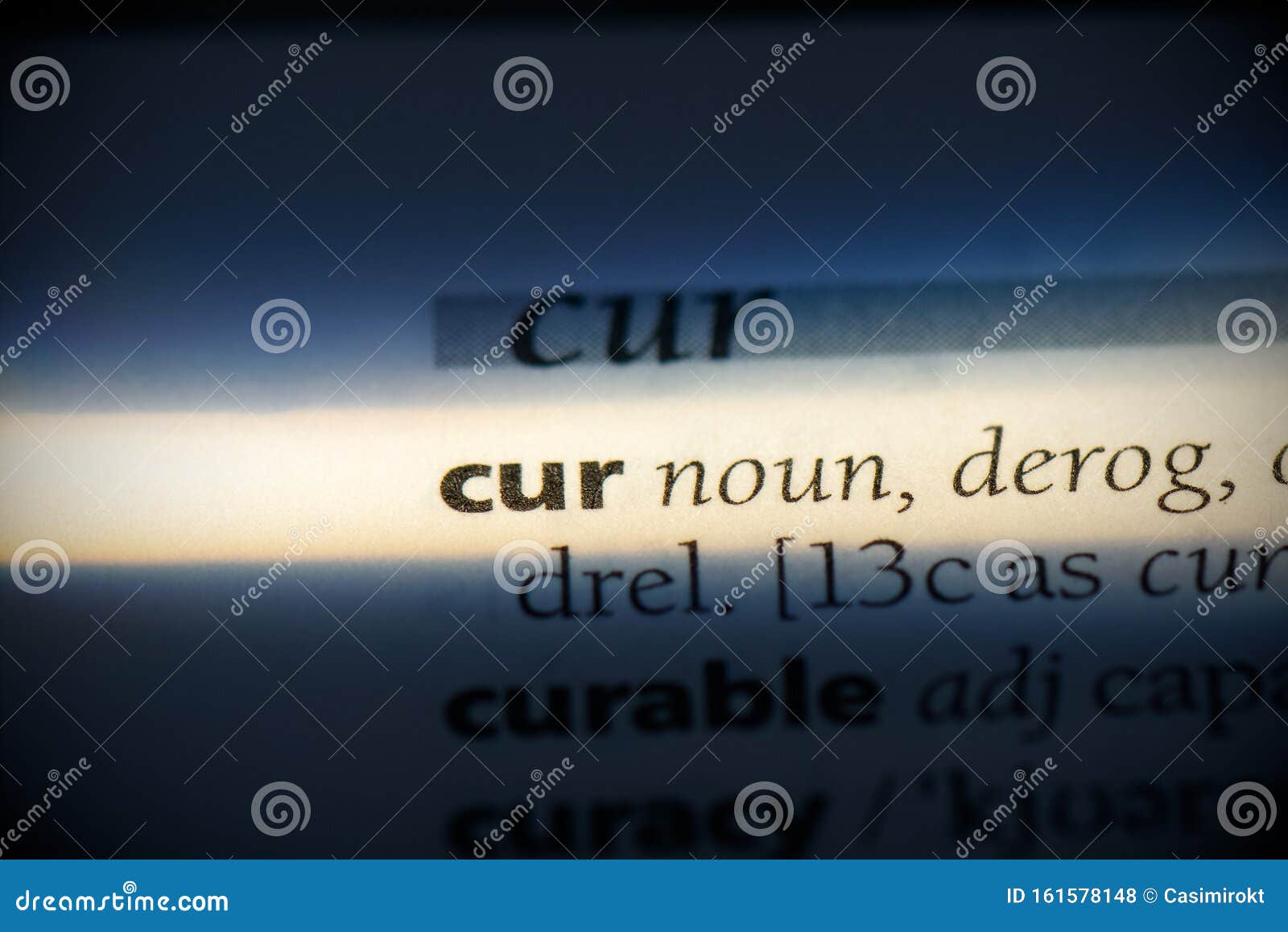Cur stock photo. Image of concept, learn, isolated, macro - 161578148
