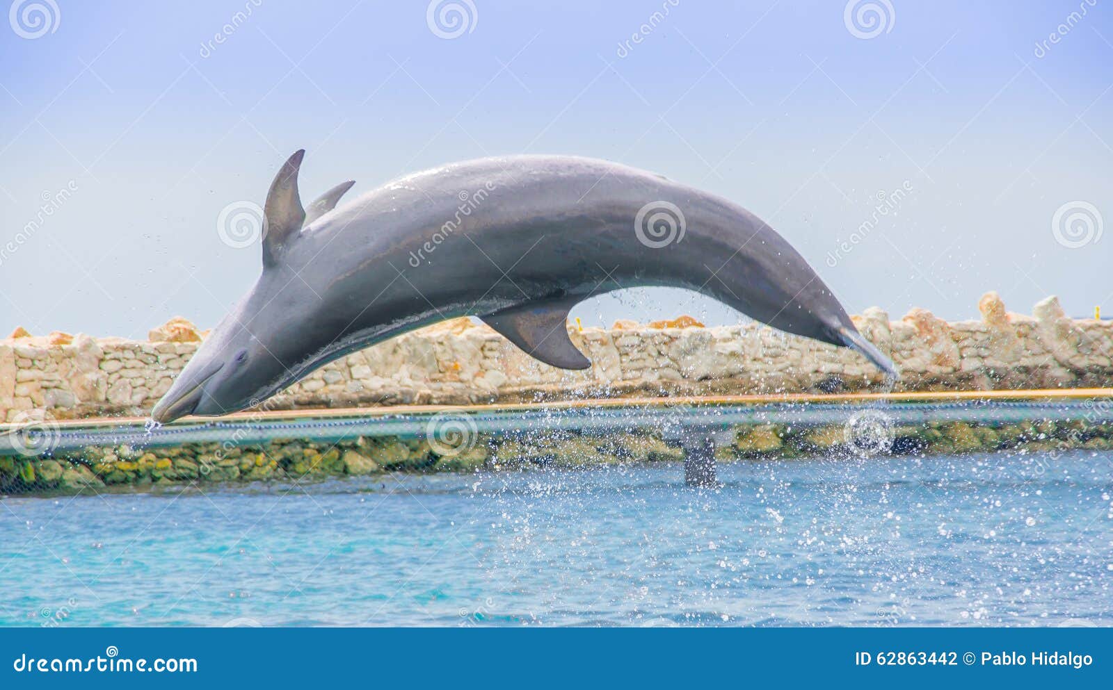 Curacao Sea Aquarium and Dolphin Academy Stock Photo - Image of ...