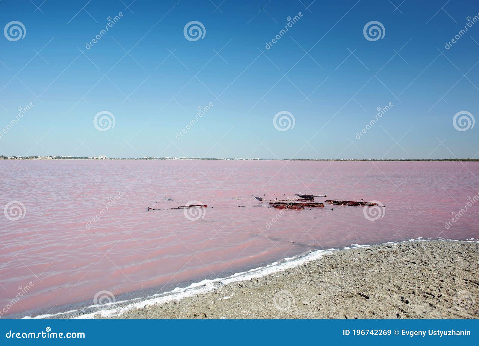 Curative Pink Mud Lake on a Sunny Day Stock Image - Image of beach ...
