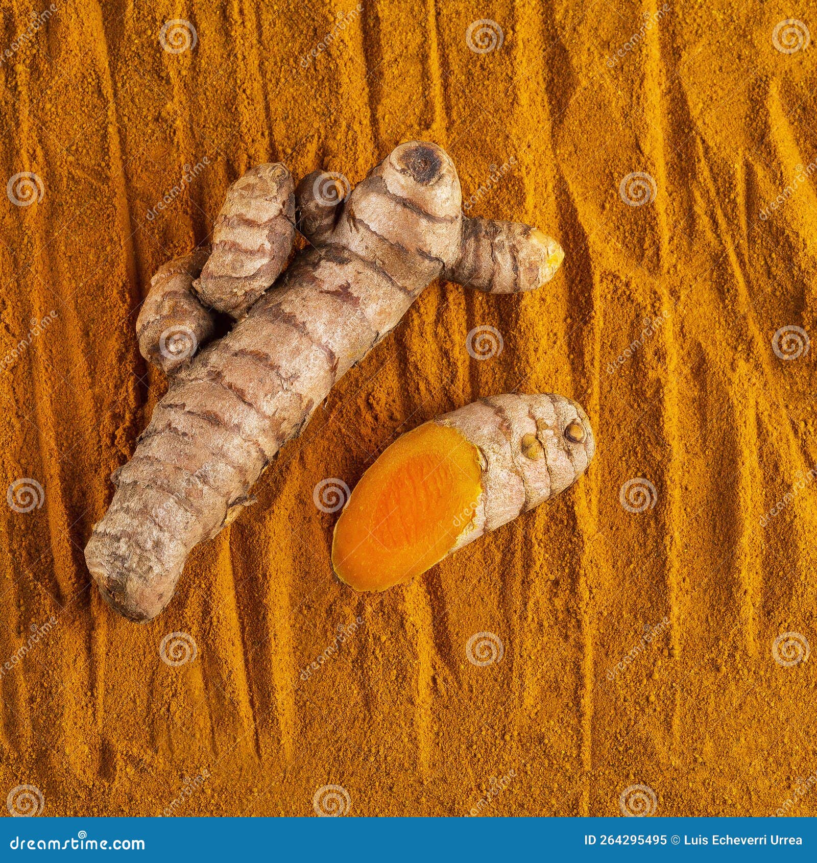 Curcuma Longa - Turmeric Powder, Fresh Root Stock Image - Image of ...
