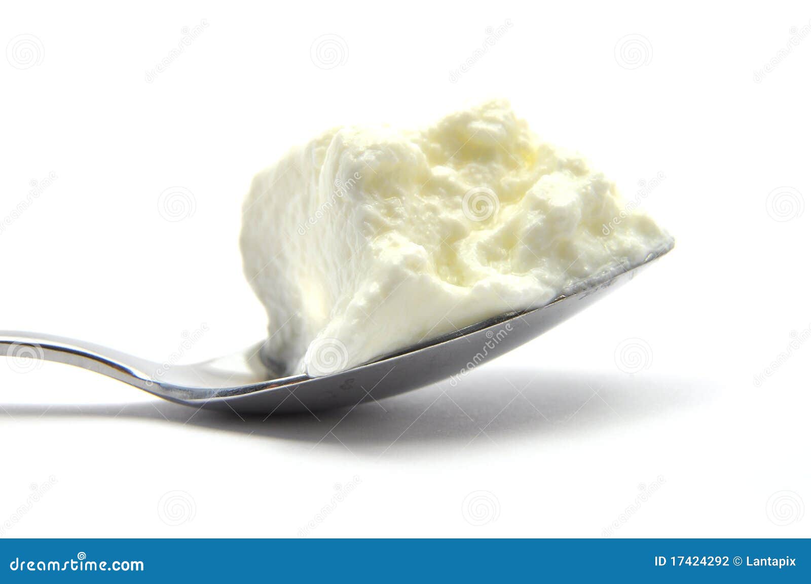 Curd on spoon stock photo. Image of product, milk, cooking - 17424292