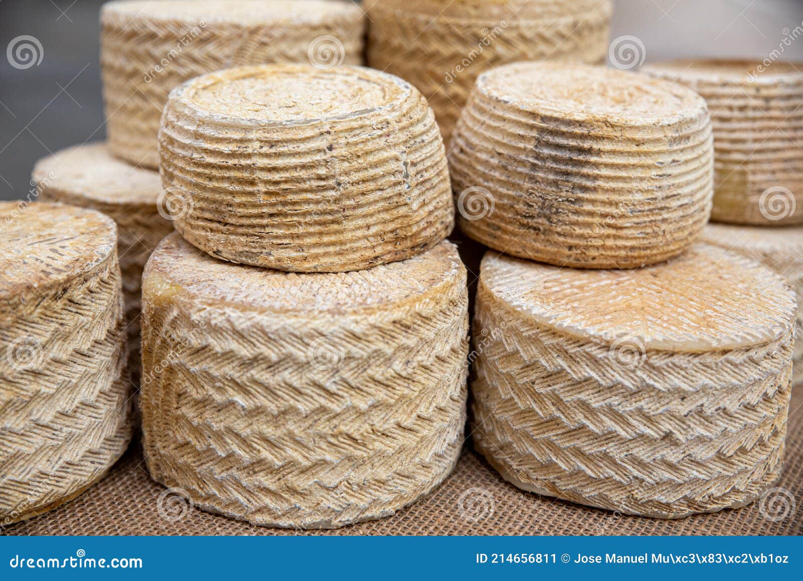 Cured Artisan Cheeses from Bovine Animals Stock Image - Image of rural ...