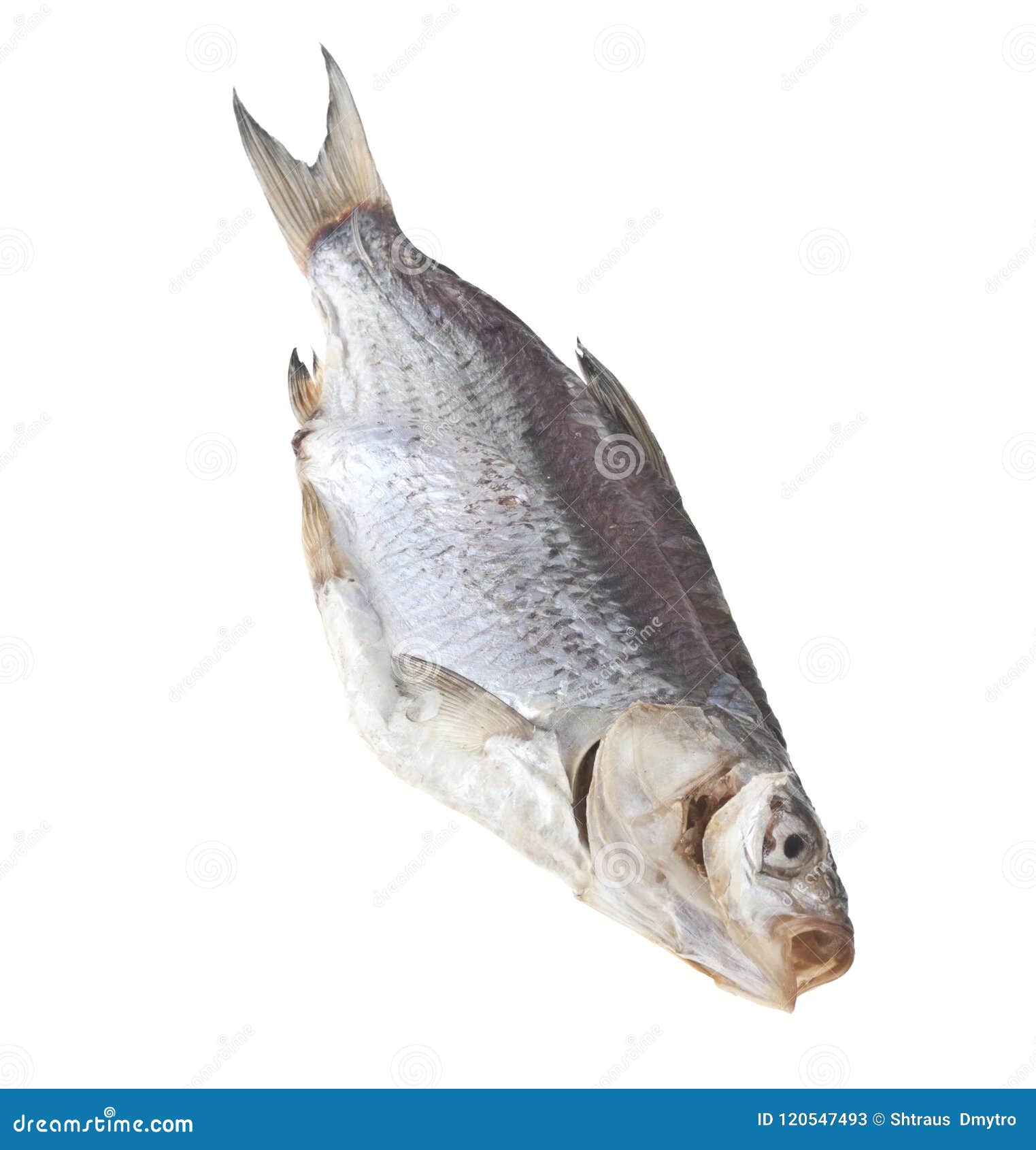 Cured Fish Isolated on White Stock Image - Image of gourmet, roach ...