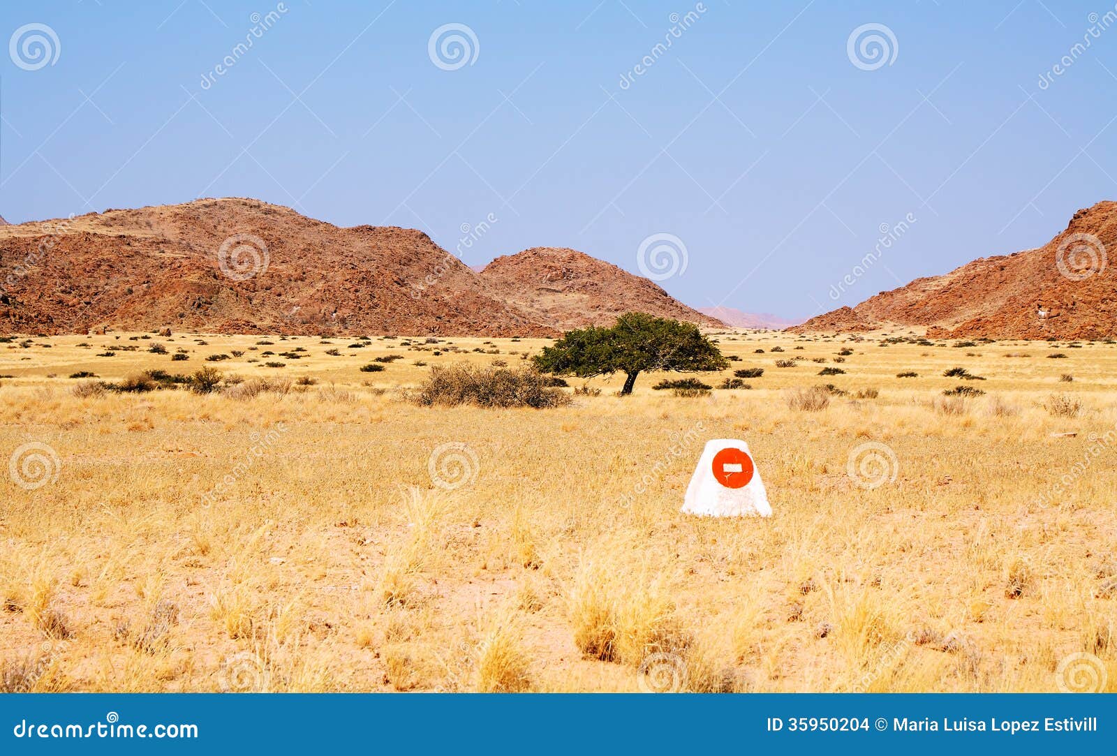 Curios Signal in Damaraland Territory Stock Photo - Image of africa ...