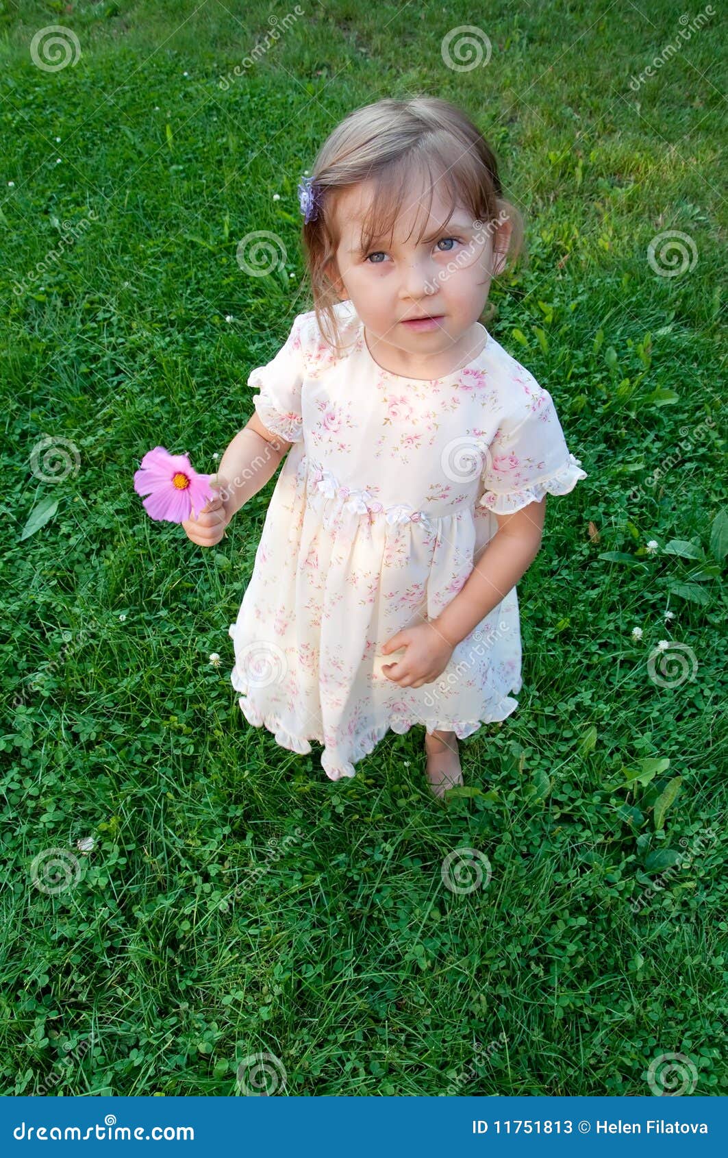 Curiosity stock image. Image of healthy, blond, little - 11751813