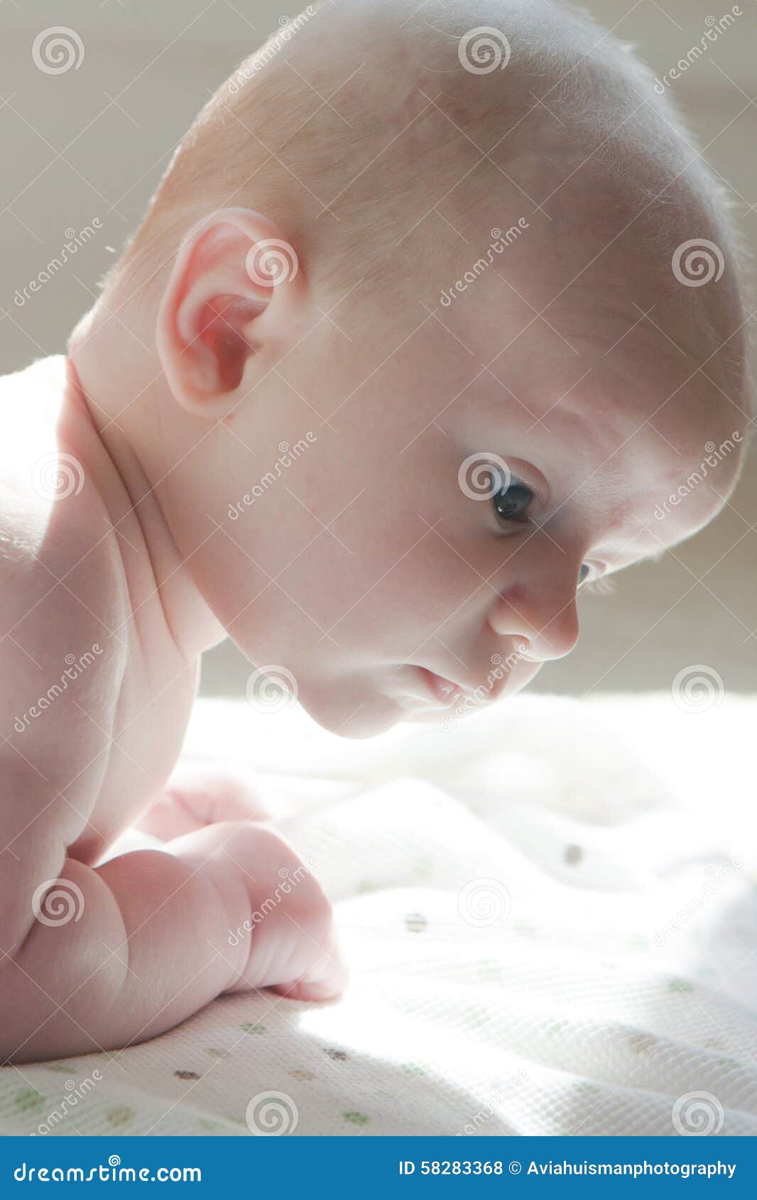 Curiosity: What is that?!? stock photo. Image of friendly - 58283368