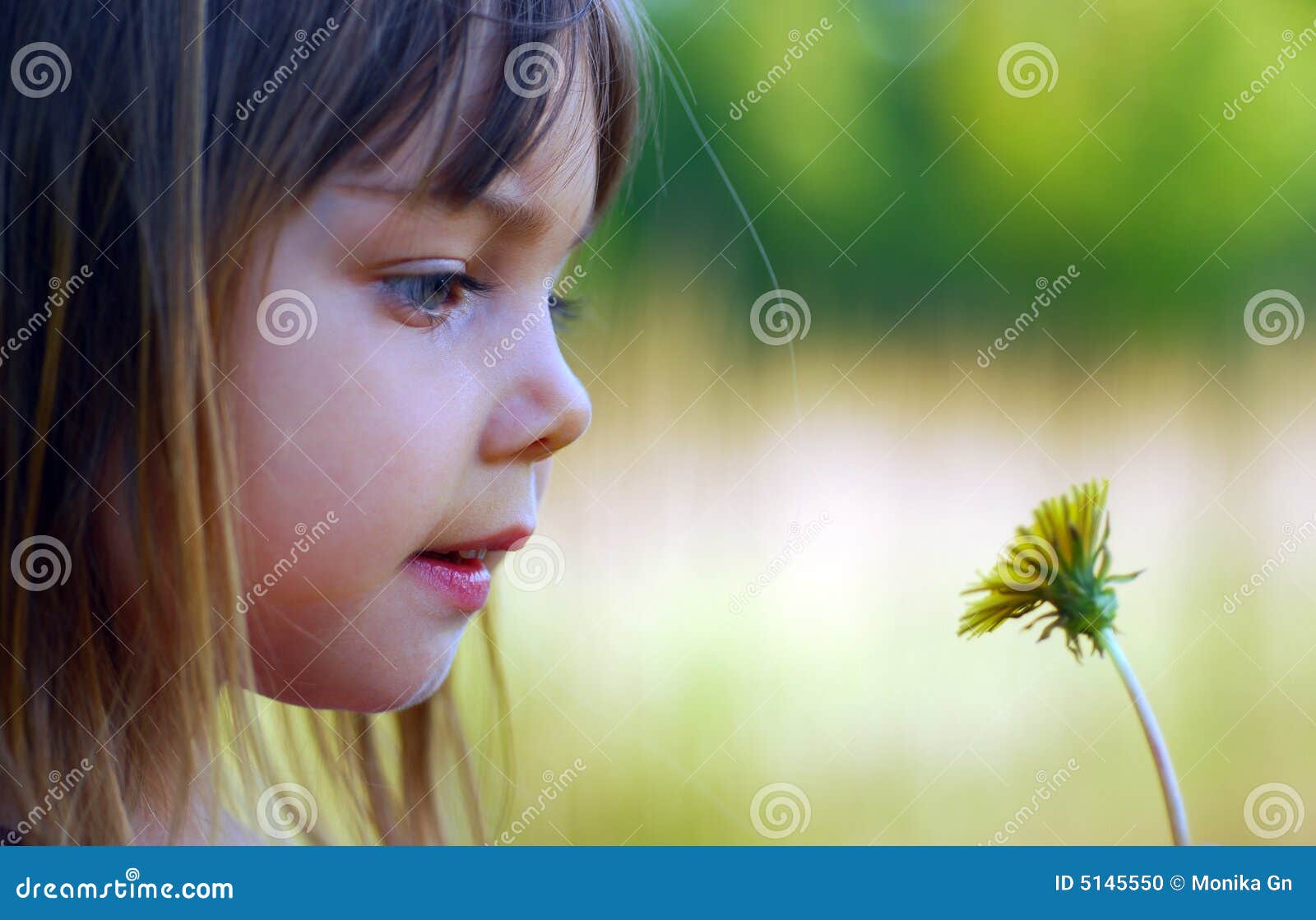 Curious stock photo. Image of year, eyes, spring, aspirations - 5145550