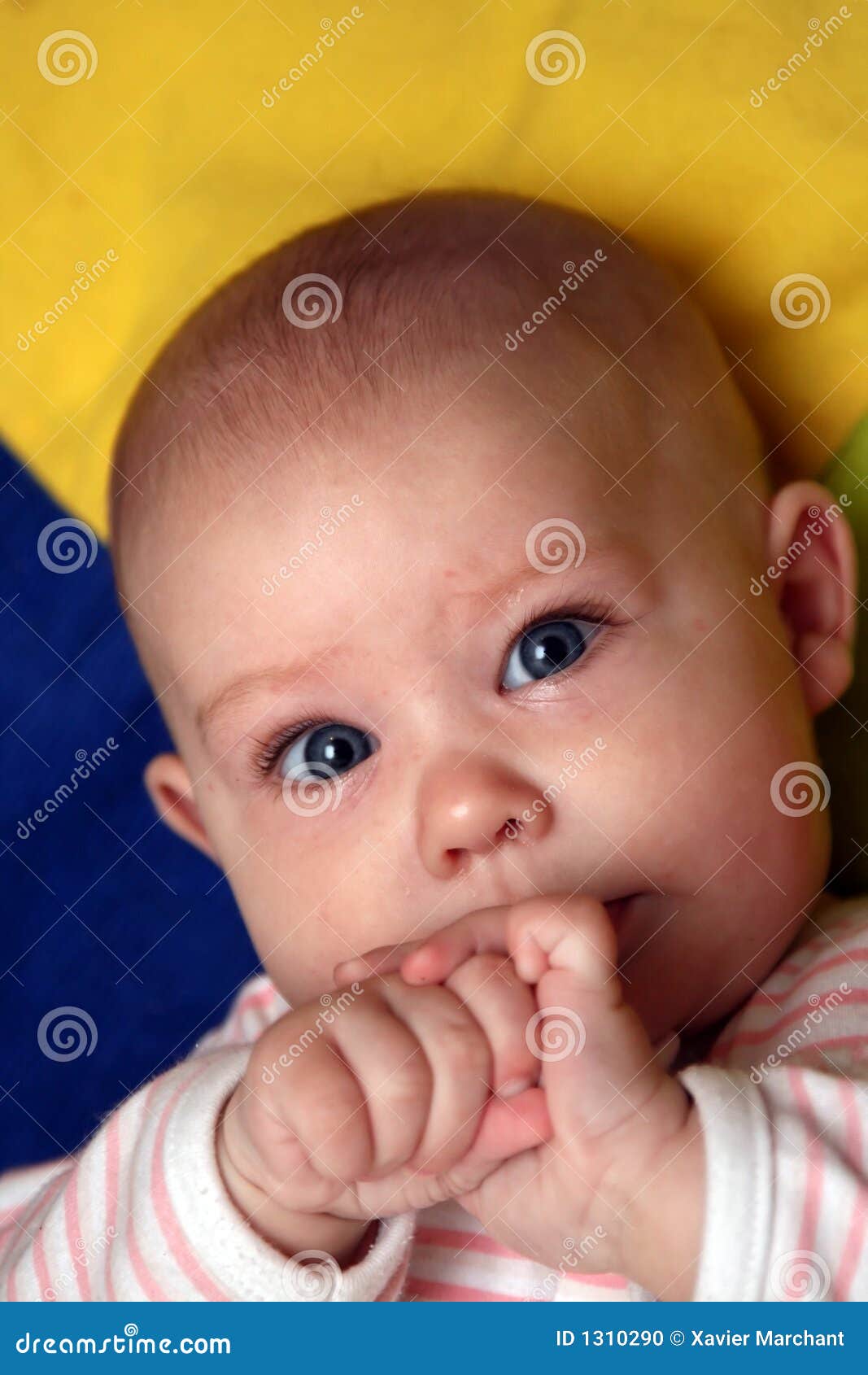 Curious baby stock photo. Image of pyjamas, animals, hand - 1310290