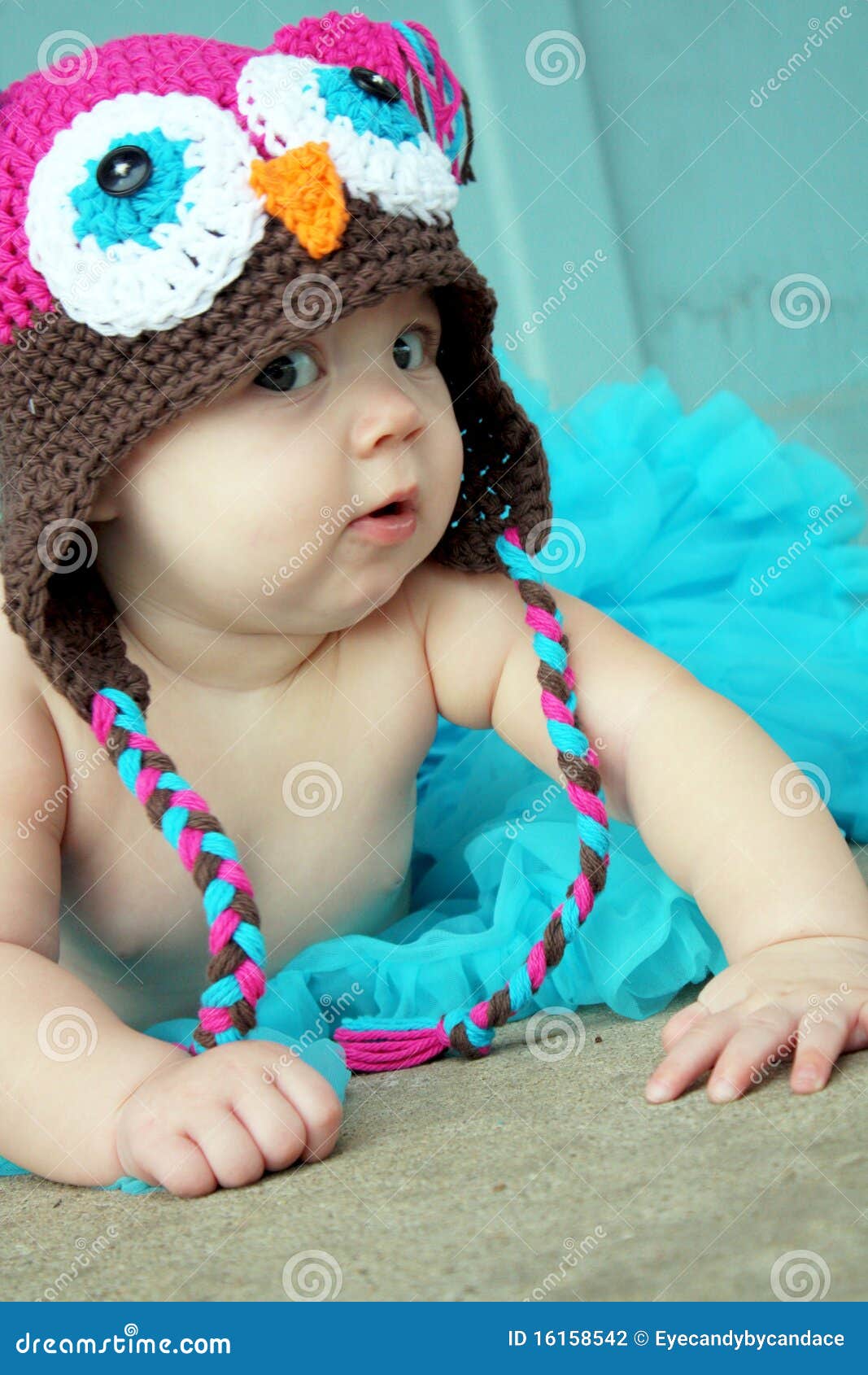 Curious Baby Fennec Fox Stands Alert Twitching Ears And Tiny Black Nose ...