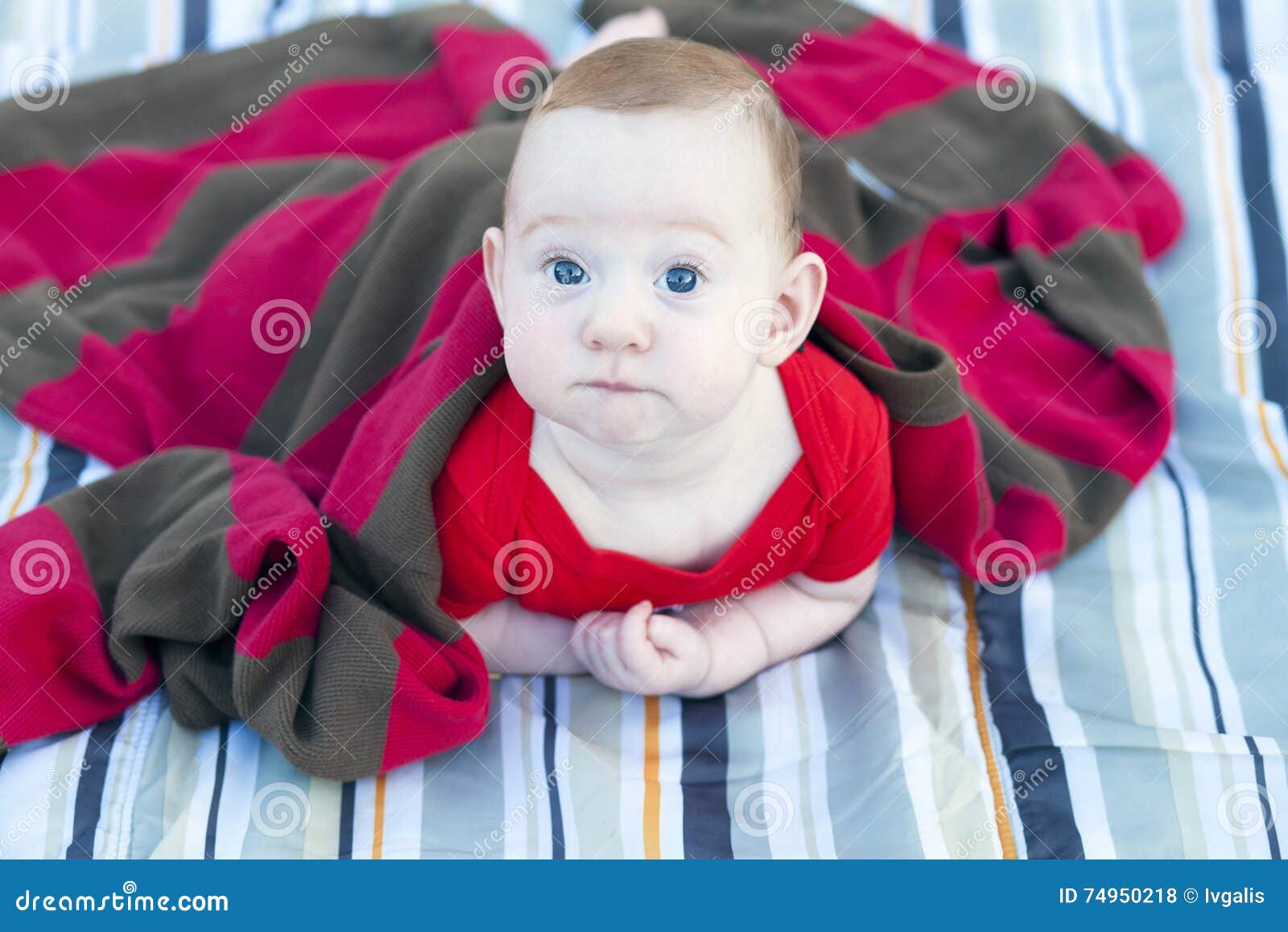Curious baby peek up stock photo. Image of safety, protection - 74950218