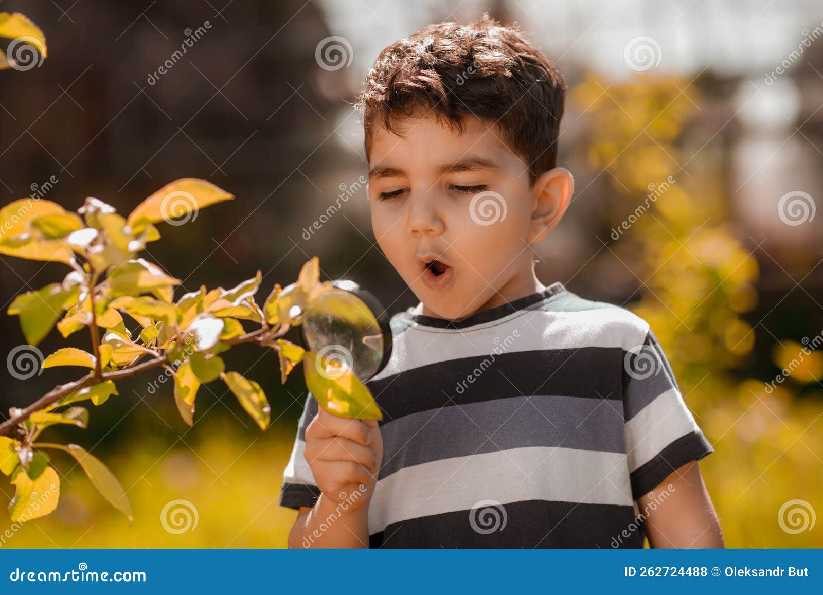 Curious Boy Investigating Nature with a Magnifier Stock Photo - Image ...