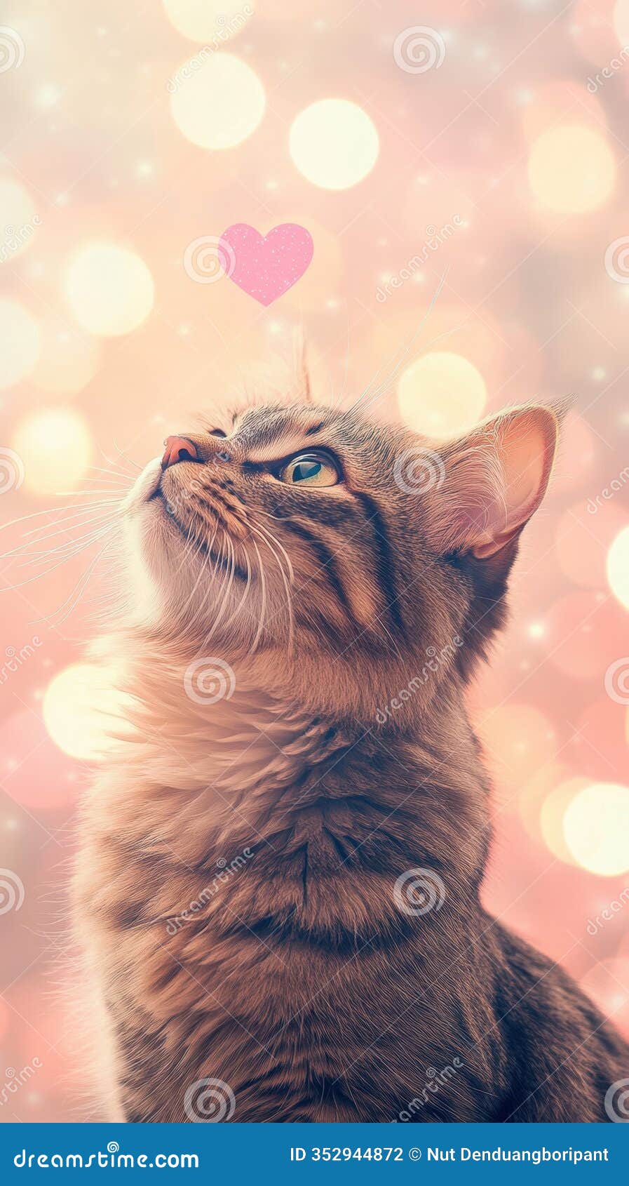 Curious Cat Gazes at Heart Shaped Symbol Above Stock Illustration ...