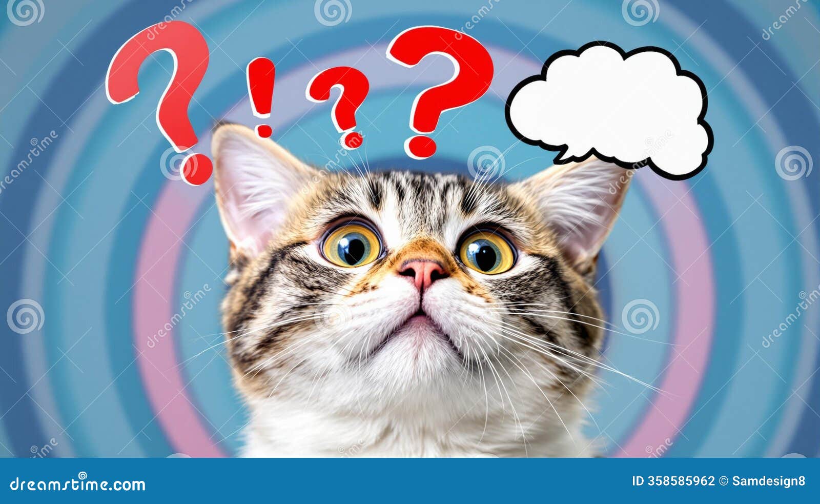 Curious Cat with a Question Mark Floating Above Its Head Looking ...