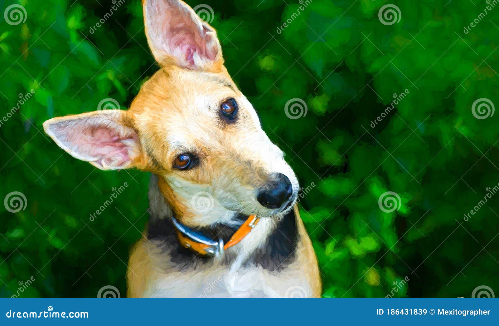 Curious Dog Looking stock image. Image of funny, pets - 186431839