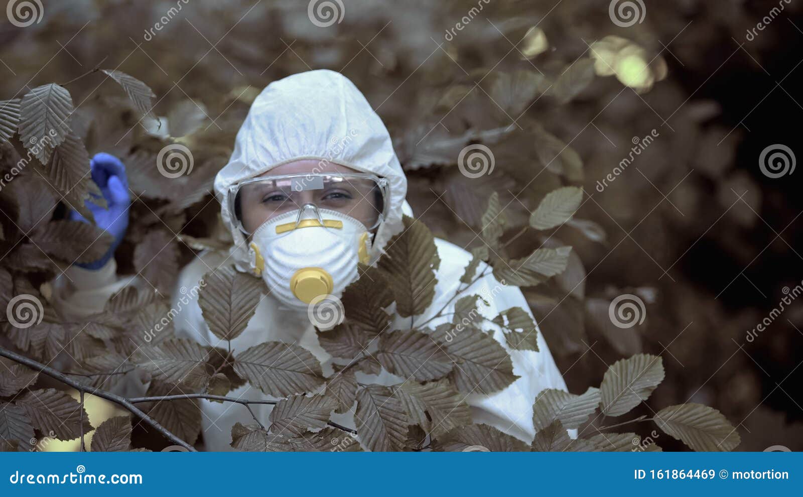 Curious Female Scientist Protective Uniform Examining Forest Ecosystem