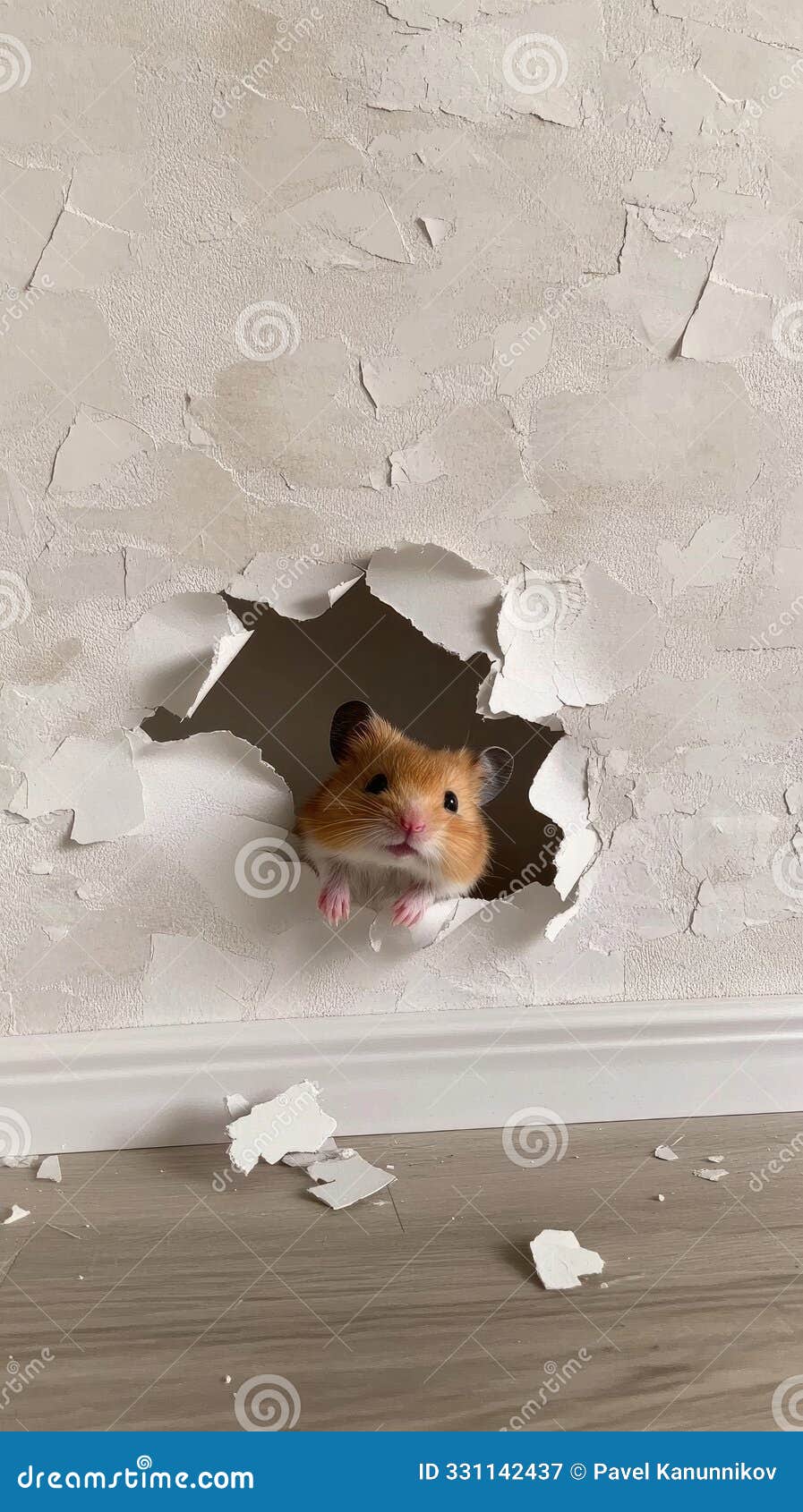 A Curious Hamster Peeks through a Torn Wall, Illuminated by Sunny Light ...