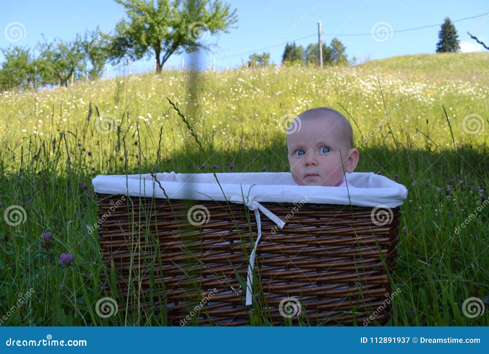 Curious Kid Hides in a Wicker Basket Stock Image - Image of love ...