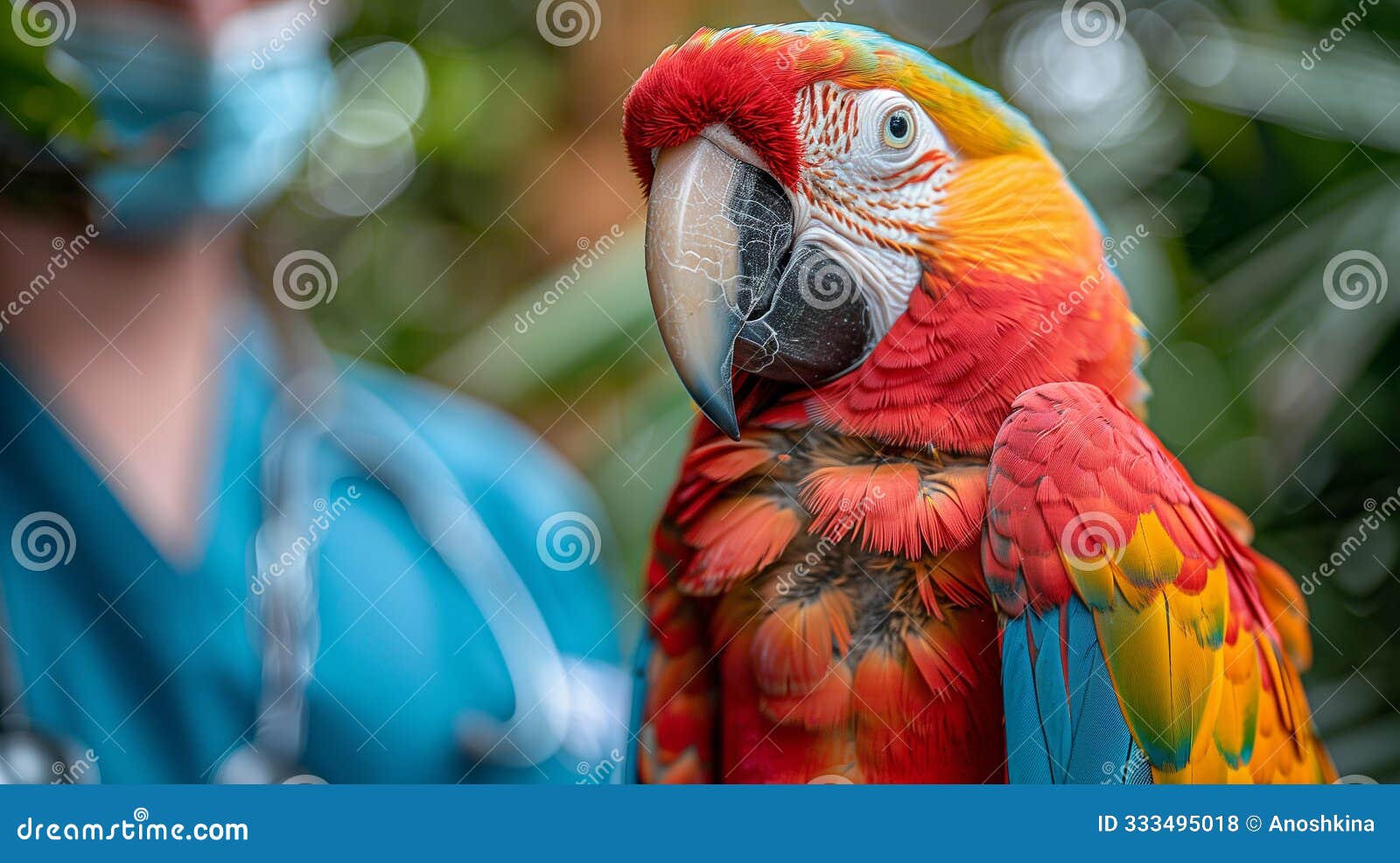 A Curious Parrot Explores Its Examination Cage, Chirping Softly As it ...