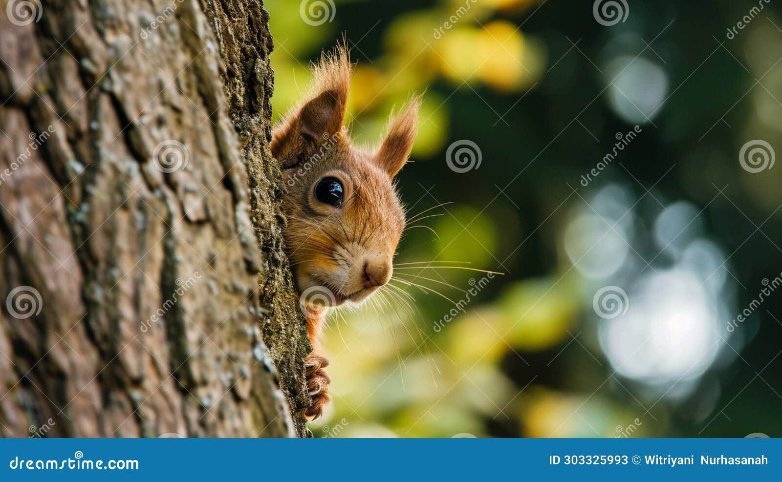 Curious Red Squirrel Peeking Behind the Tree Trunk. AI Generative Stock ...