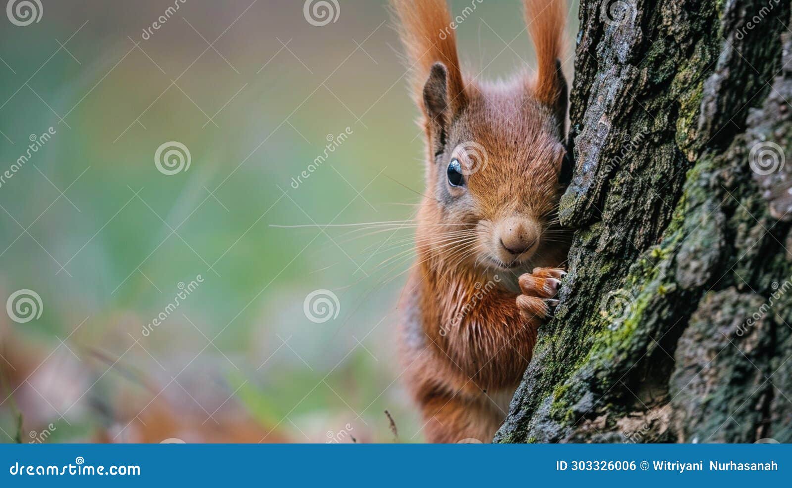 Curious Red Squirrel Peeking Behind the Tree Trunk. AI Generative Stock ...