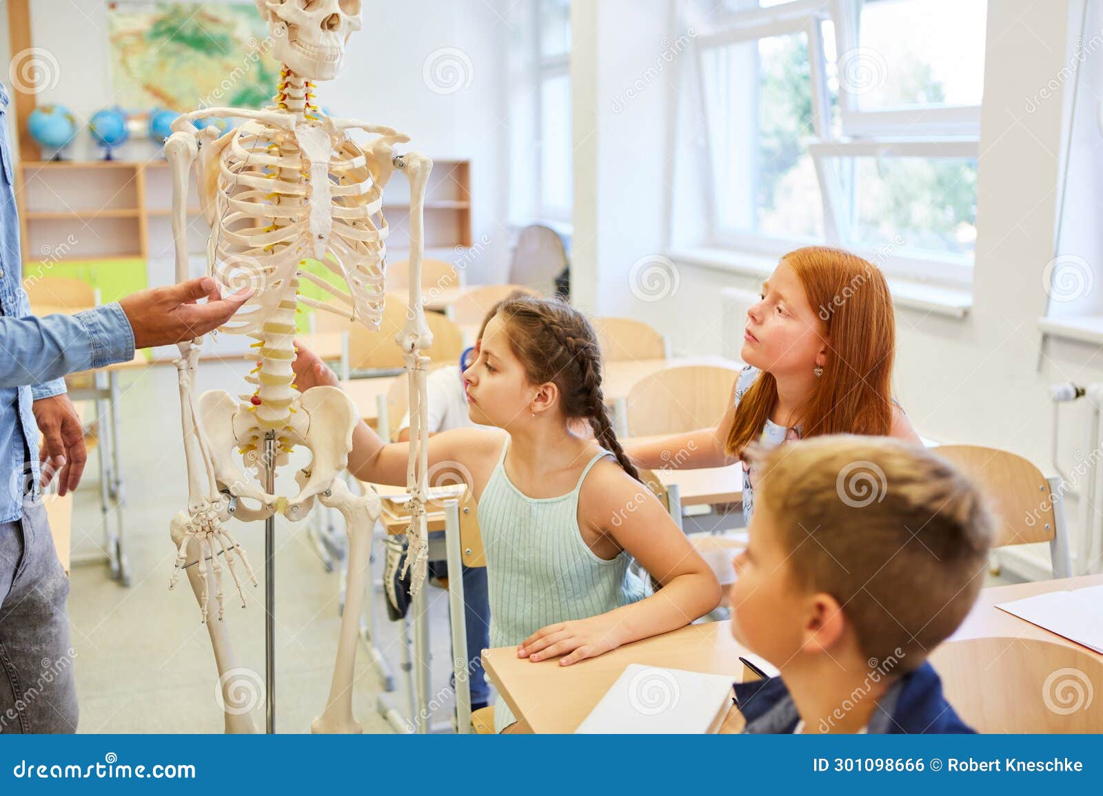 Curious Students Looking at Skeleton in Class Stock Photo - Image of ...