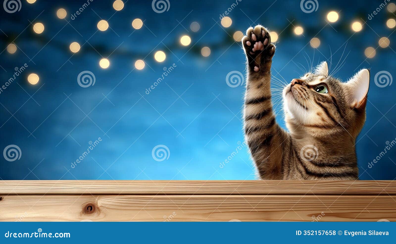 Curious Tabby Cat Reaching for Twinkling String Lights on Wooden ...