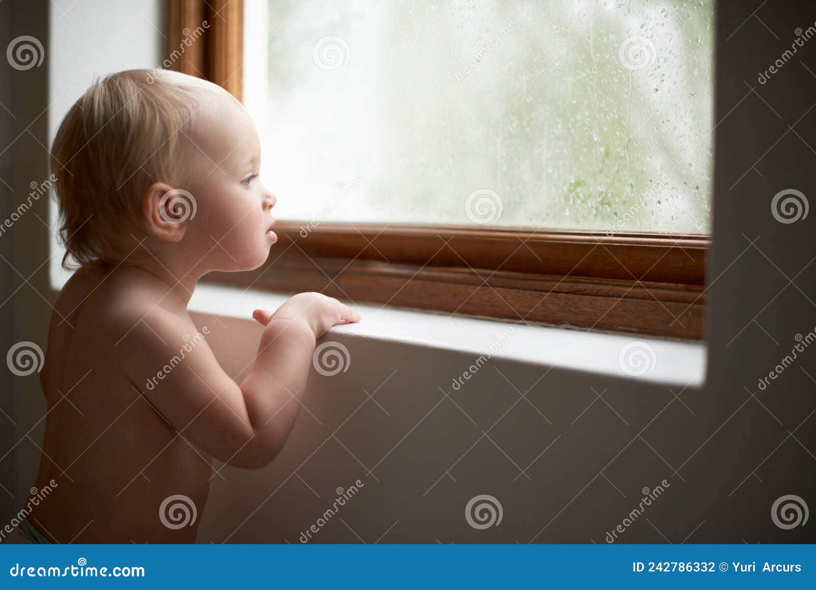 Curious Young Mind. a Baby Girl Looking Out the Window. Stock Photo ...