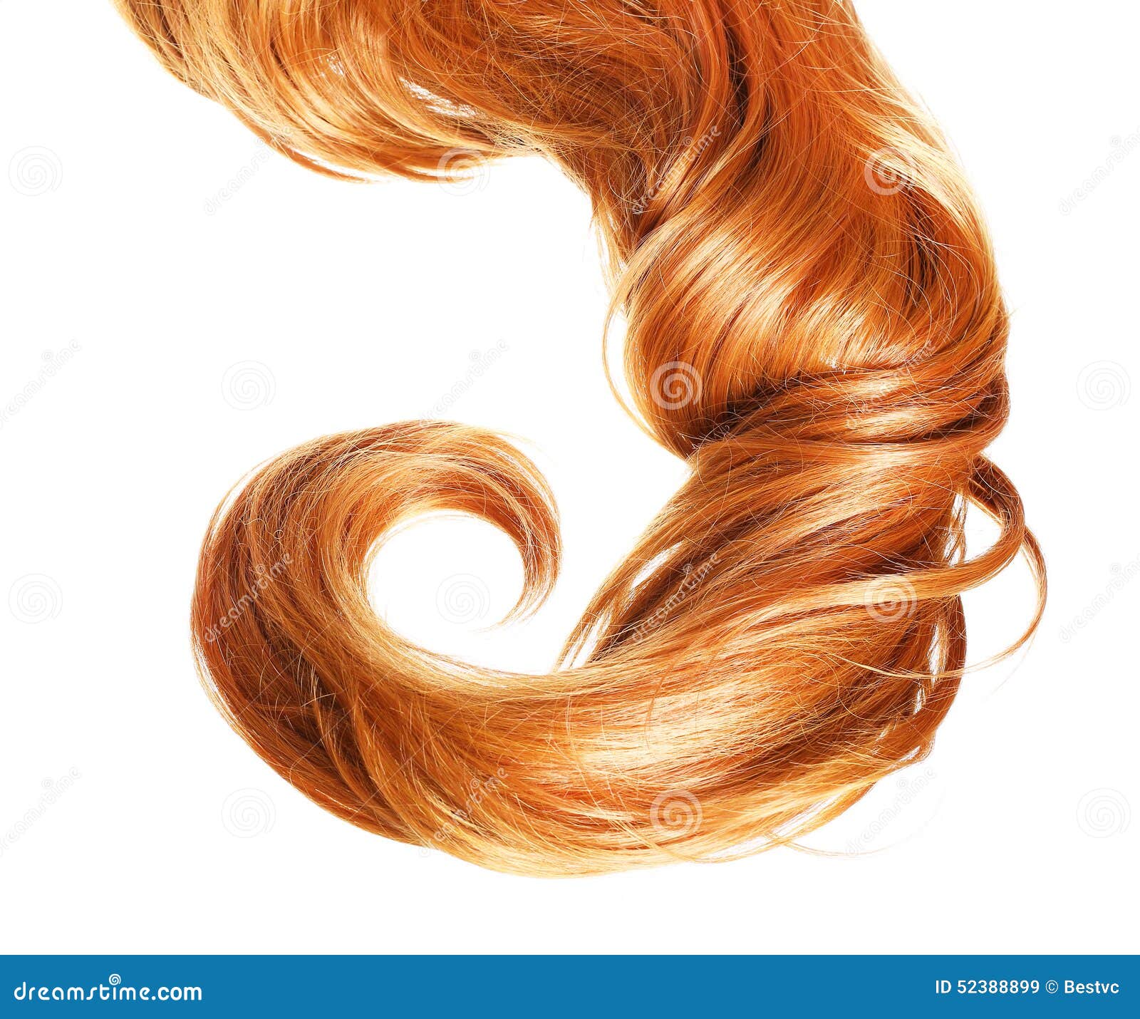 Curl Red Hair Isolated on White Background Stock Image - Image of white ...