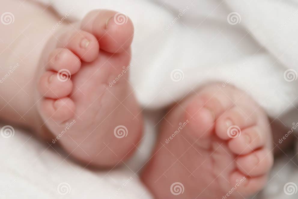 Curled Baby Toes stock image. Image of newborn, chubby, feet - 72481